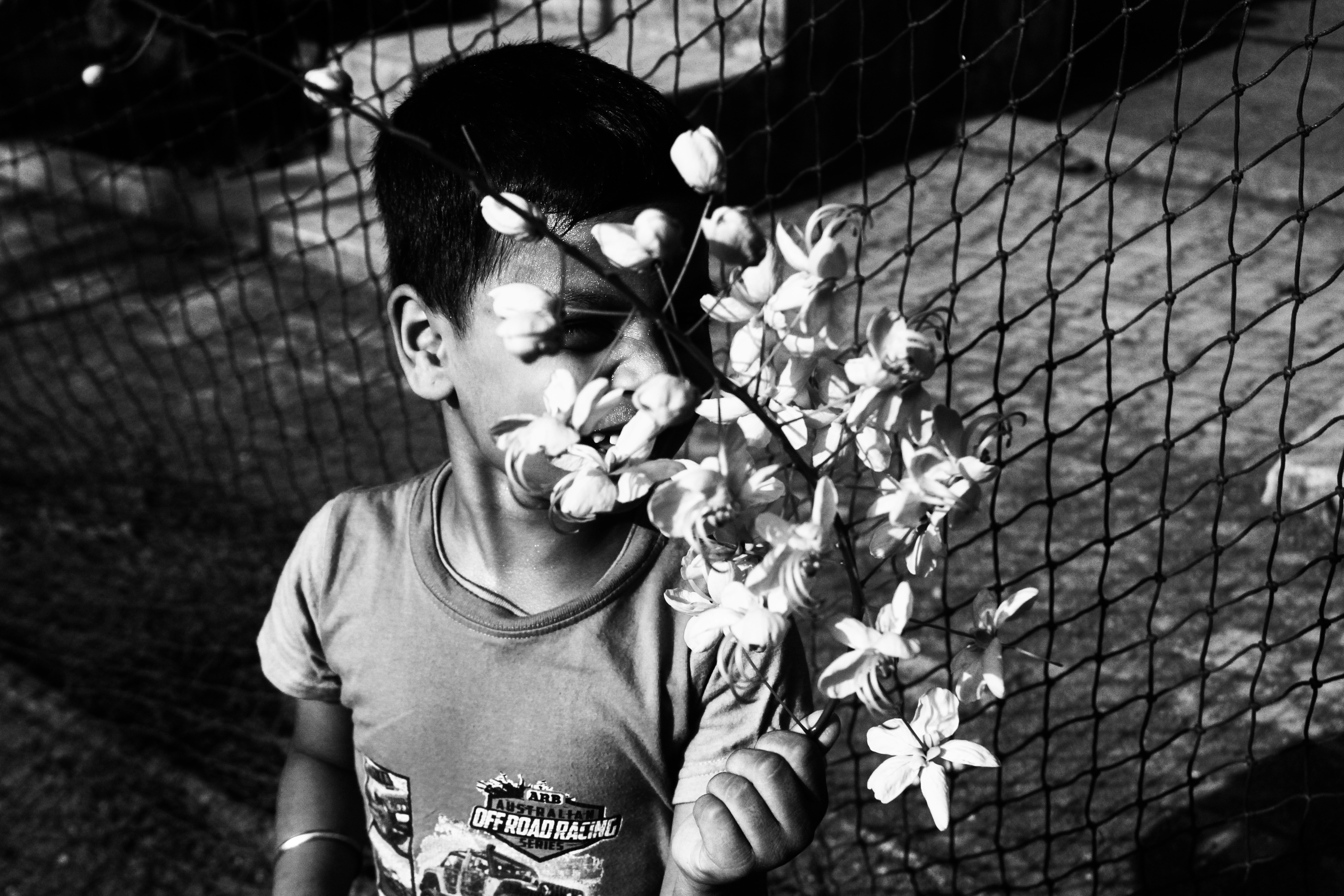 Bloom of Silence: A Boy with Flowers by the Fence