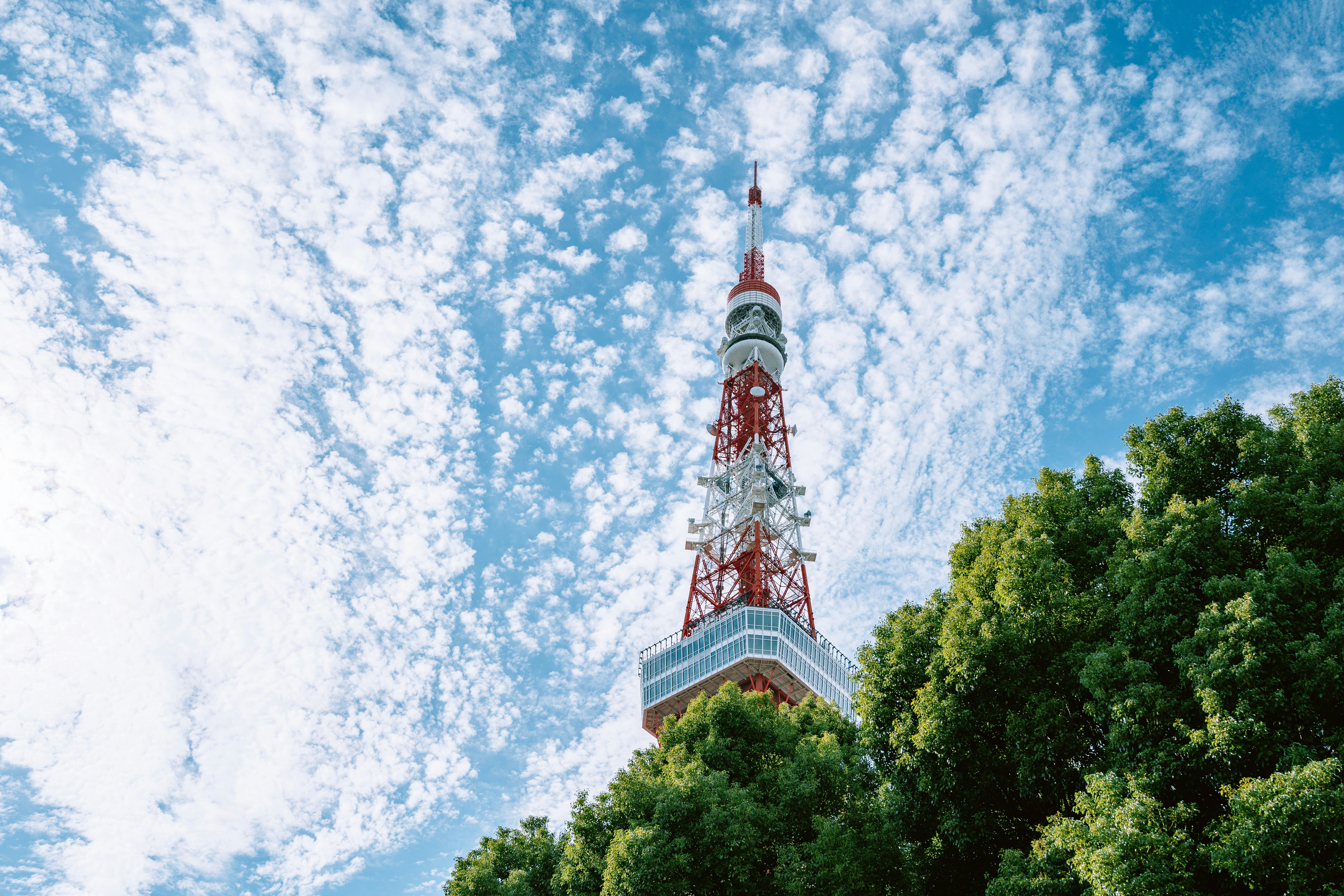 Tower Over Green Canopy: Skyline Piercing the Sky
