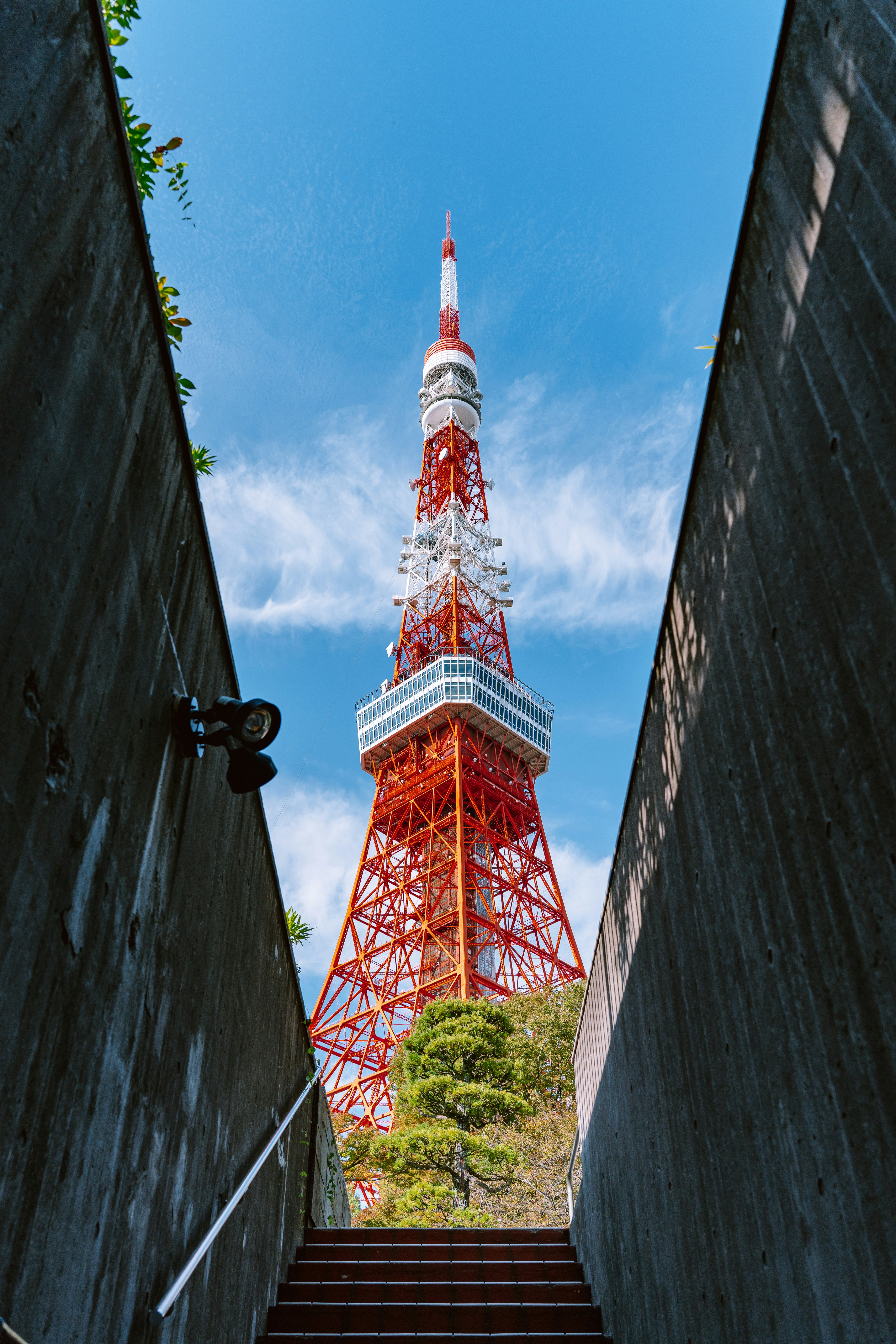 Tokyo Tower Ascending Through a Concrete Funnel