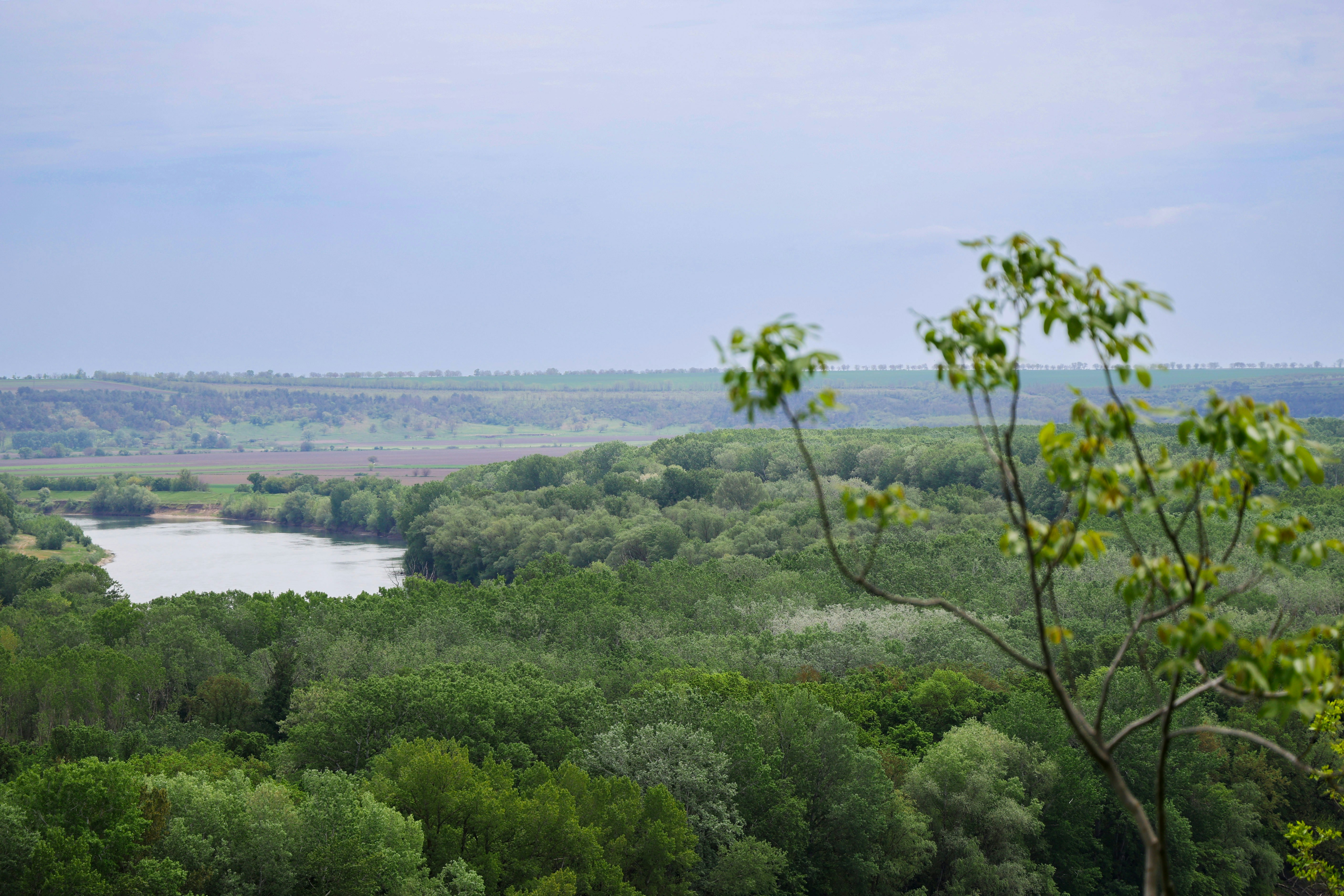Ridgeline Overlook: River Bend Amid Rolling Forests