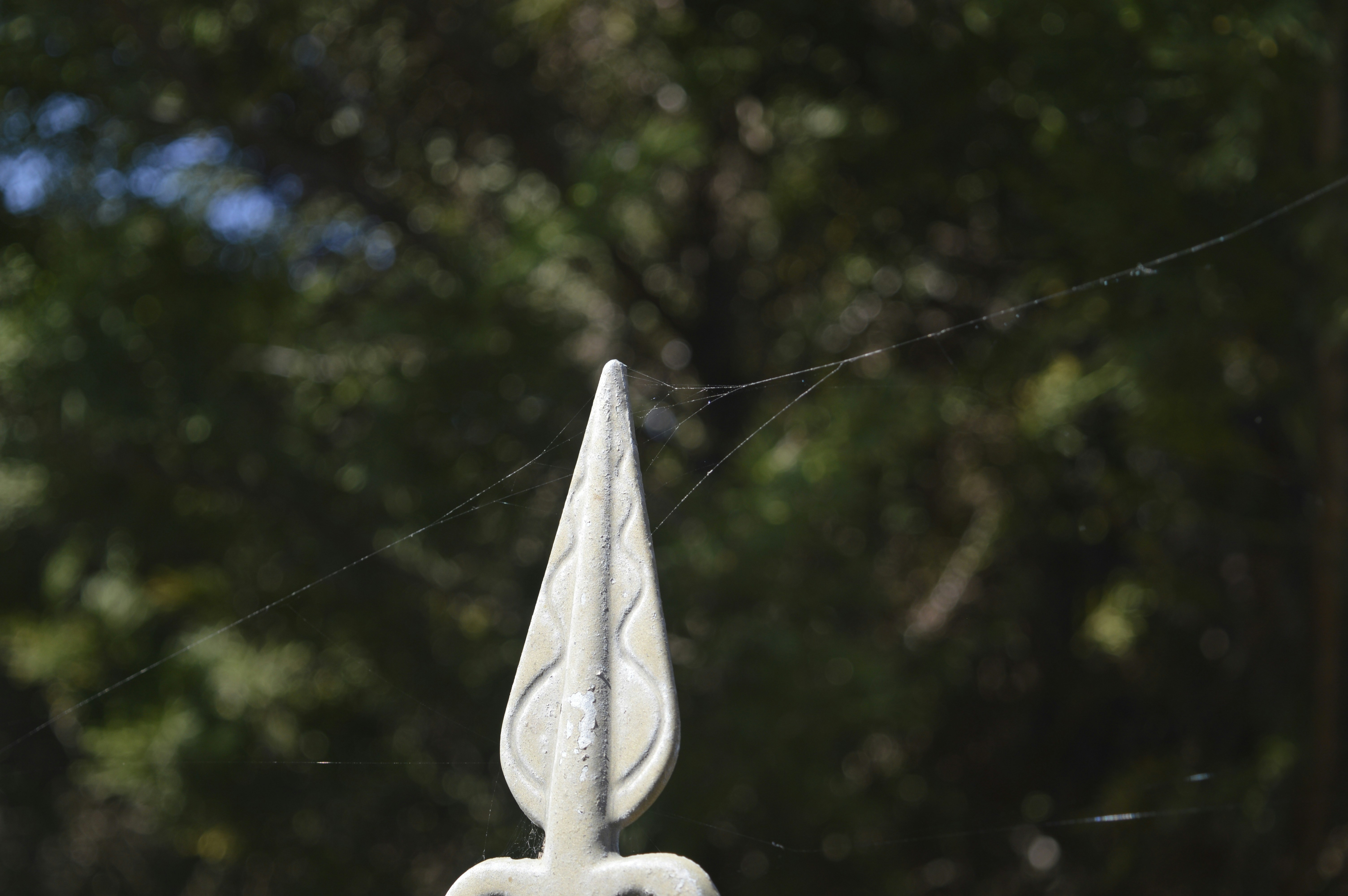 Arrowhead Spire in a Quiet Fence: A Close-Up of Detail