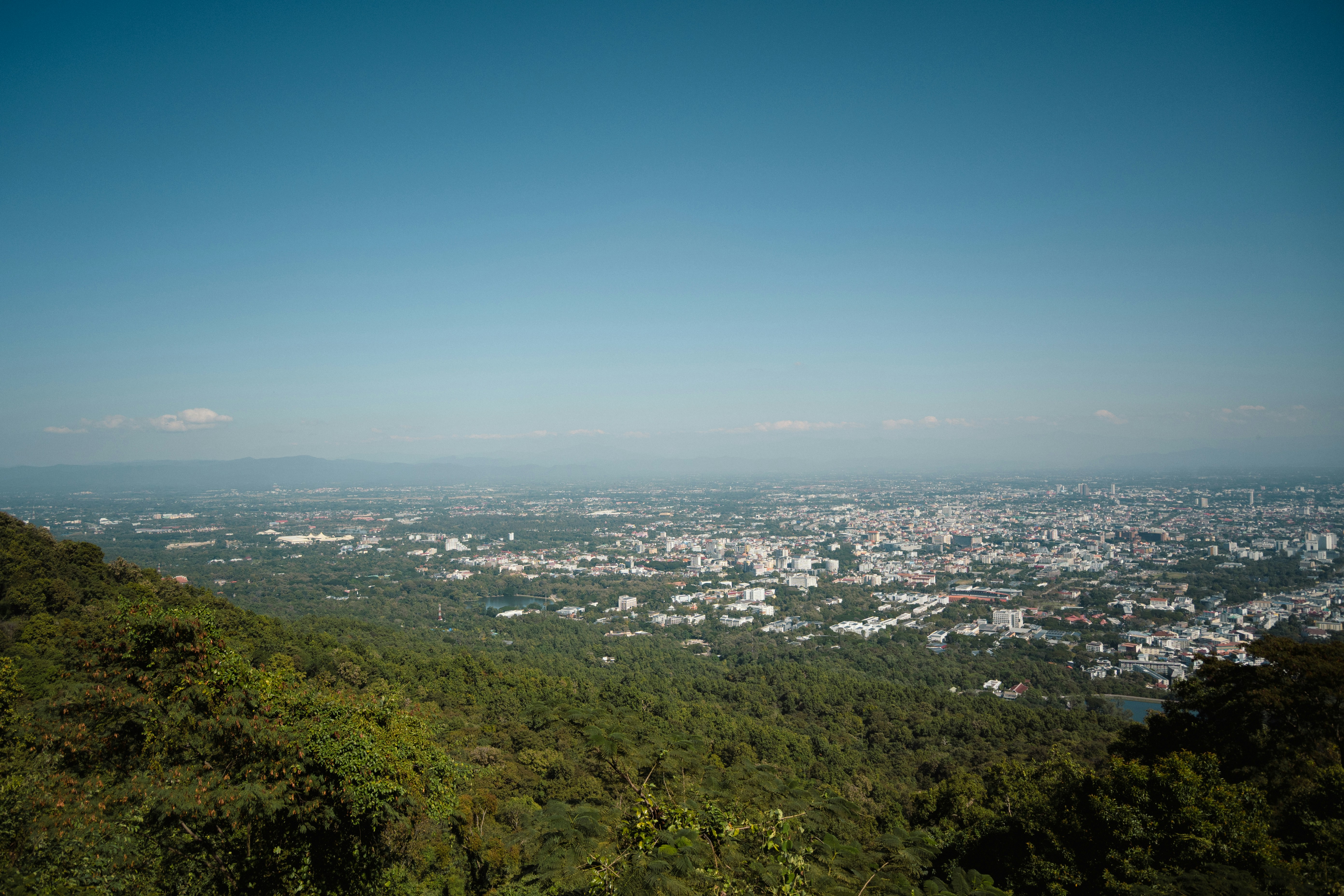 Cityscape view from a mountain with lush green trees.