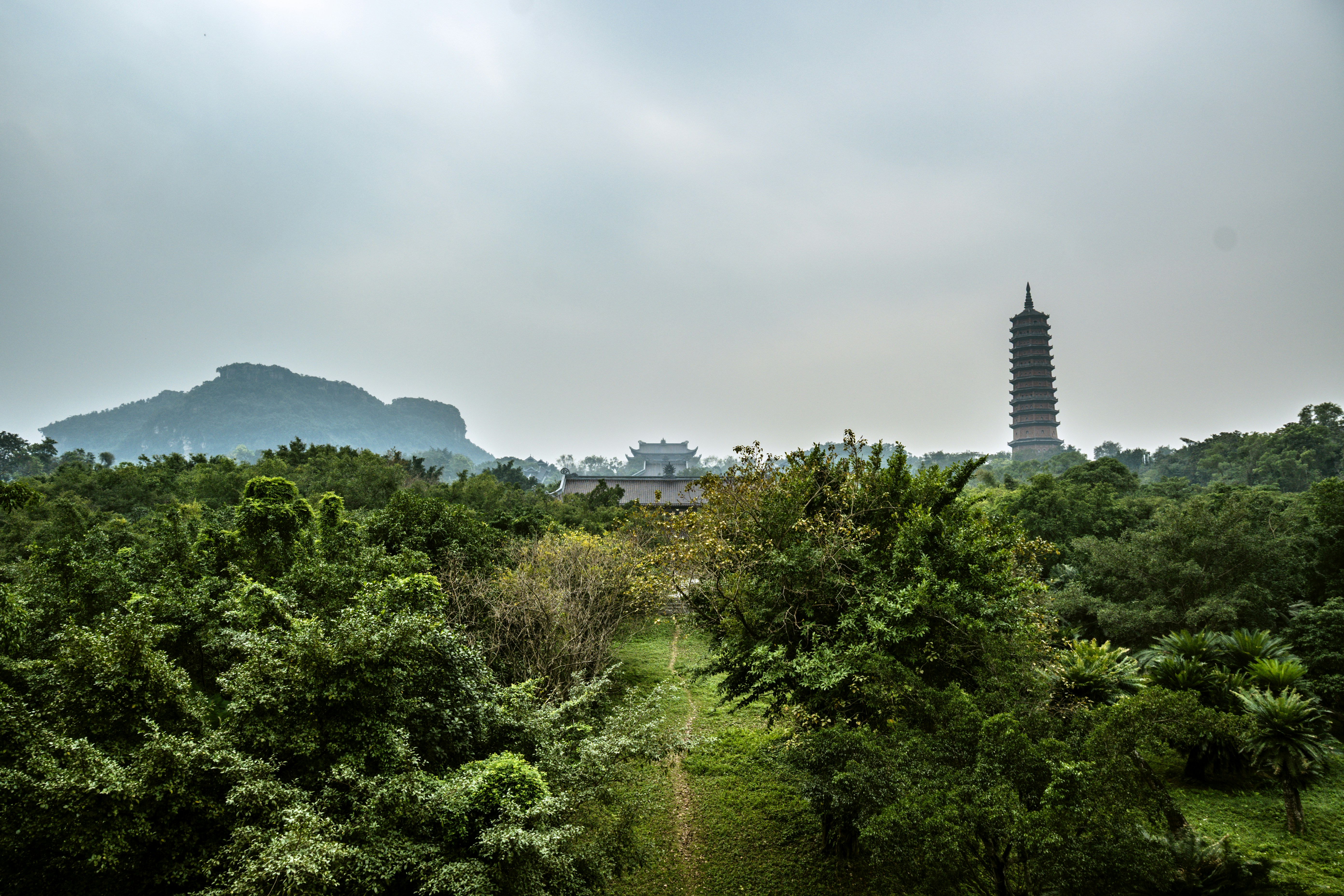 The Watchtower Above a Verdant Terrace