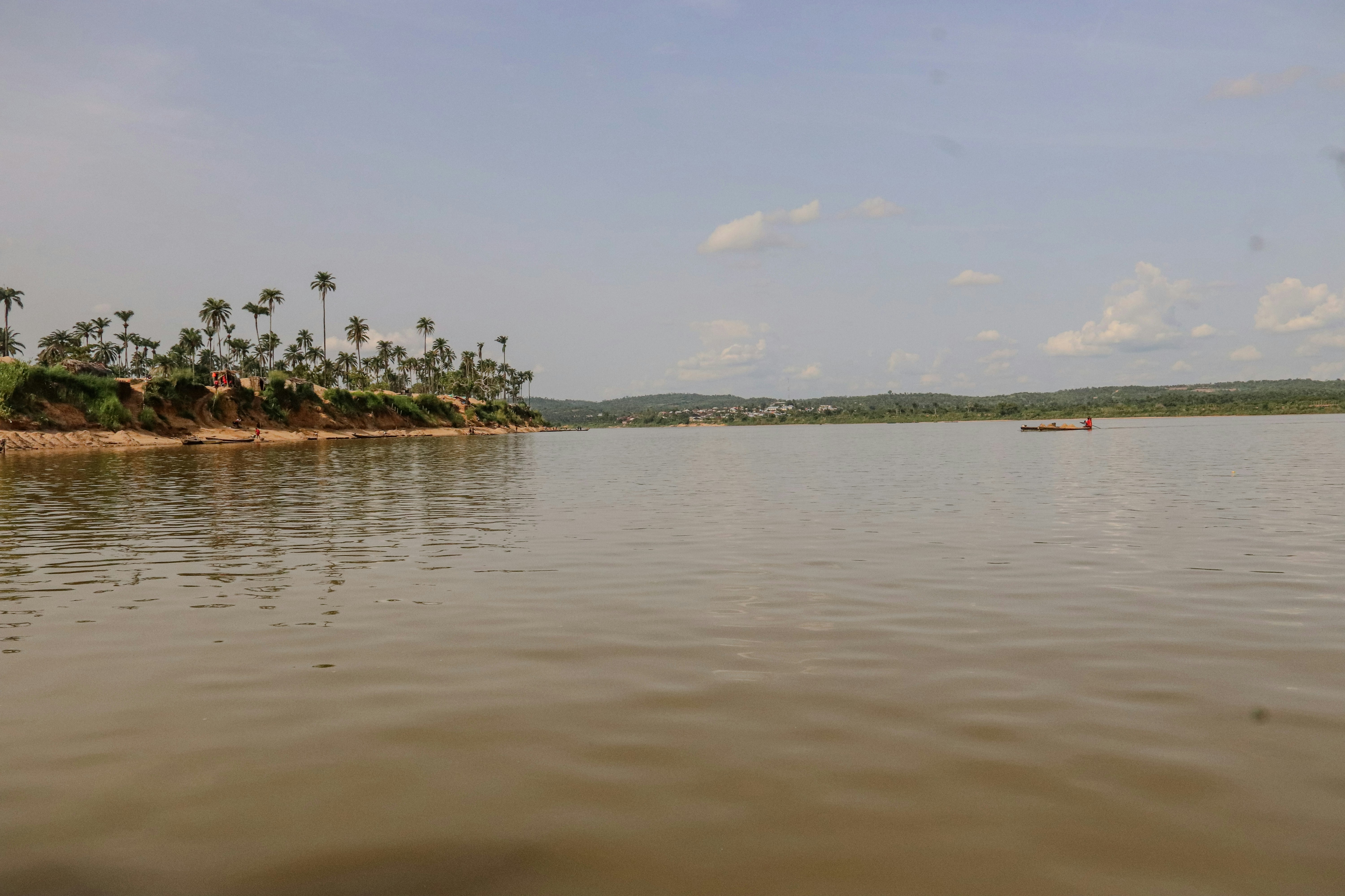 Palm-lined shoreline and distant boat on a calm river