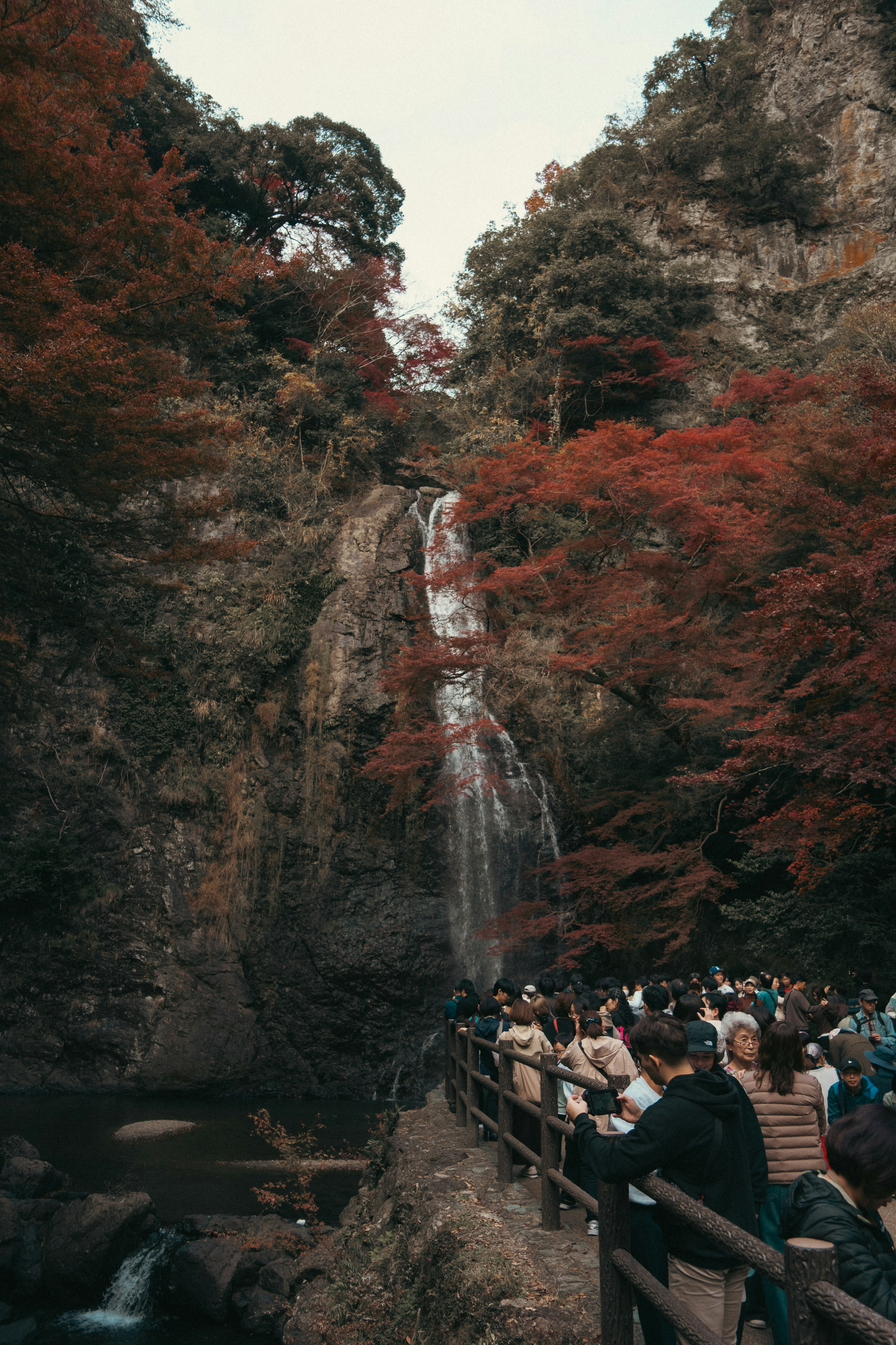 Autumn Cascade at the Crowded Edge
