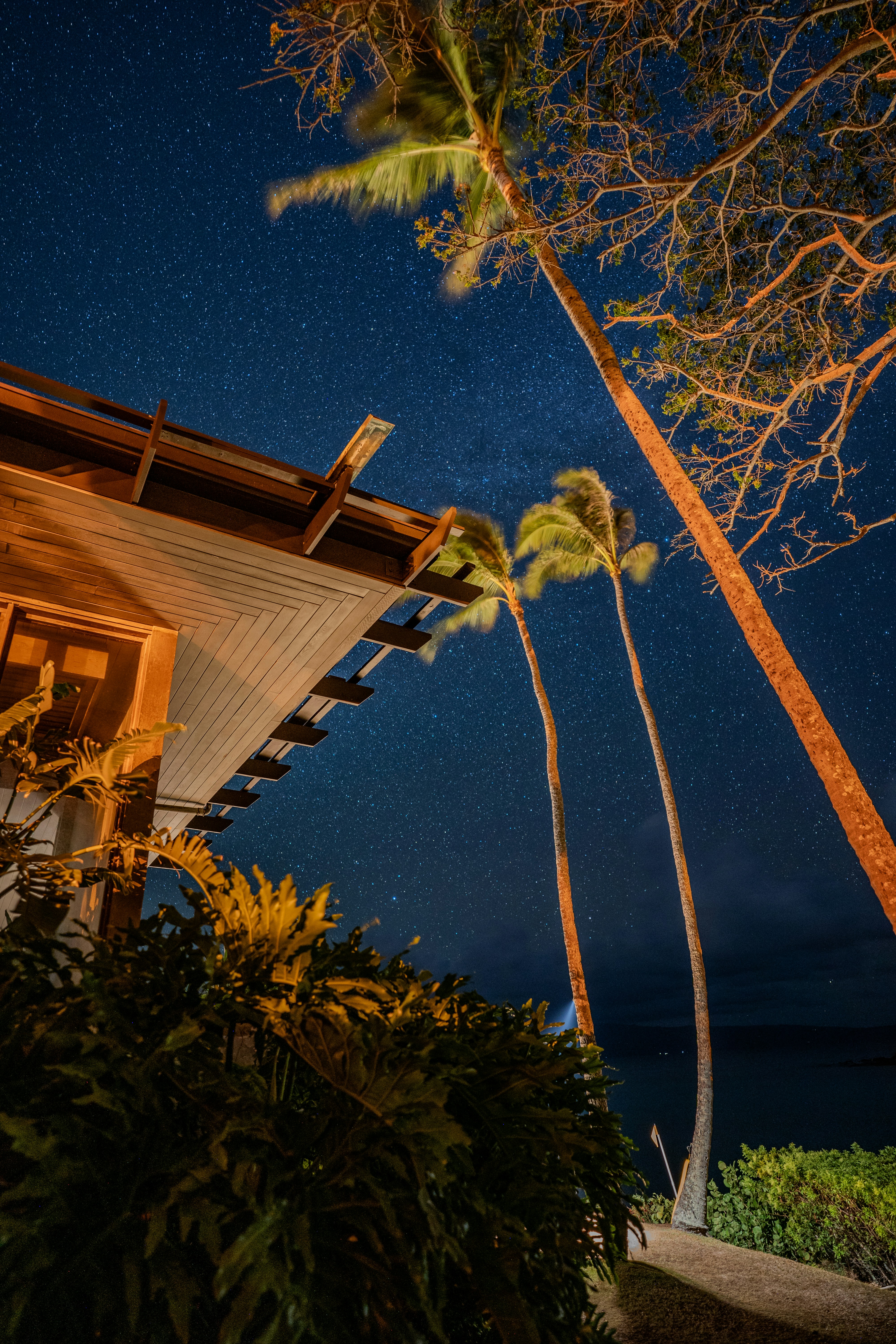Starlit Terrace: A Night by the Palm and House Edge
