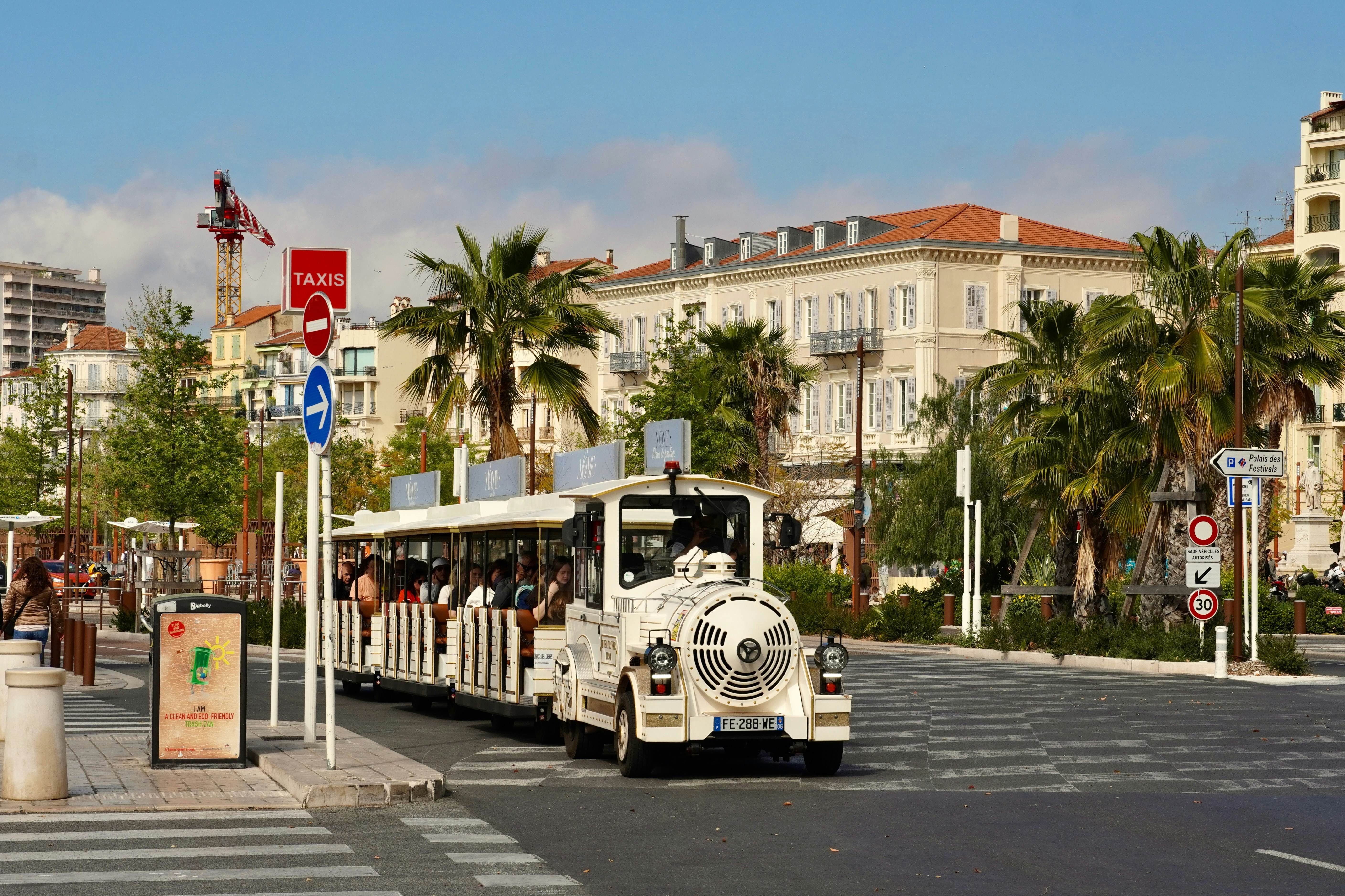 Streetcar Carousel under Palms: A Coastal City Spin