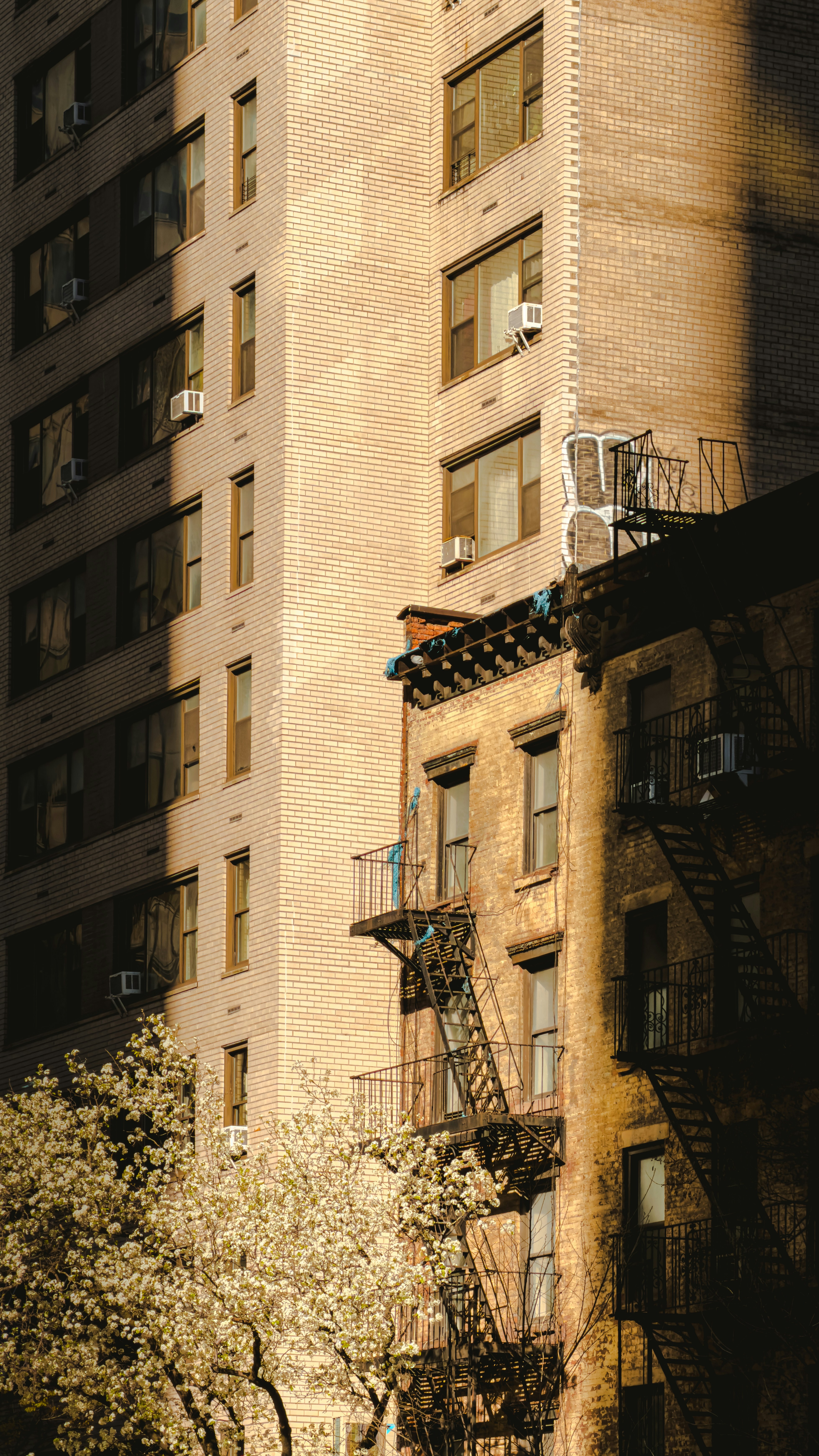 Sunlit Brick Facade: Fire Escape Cadence along a Residential Wall