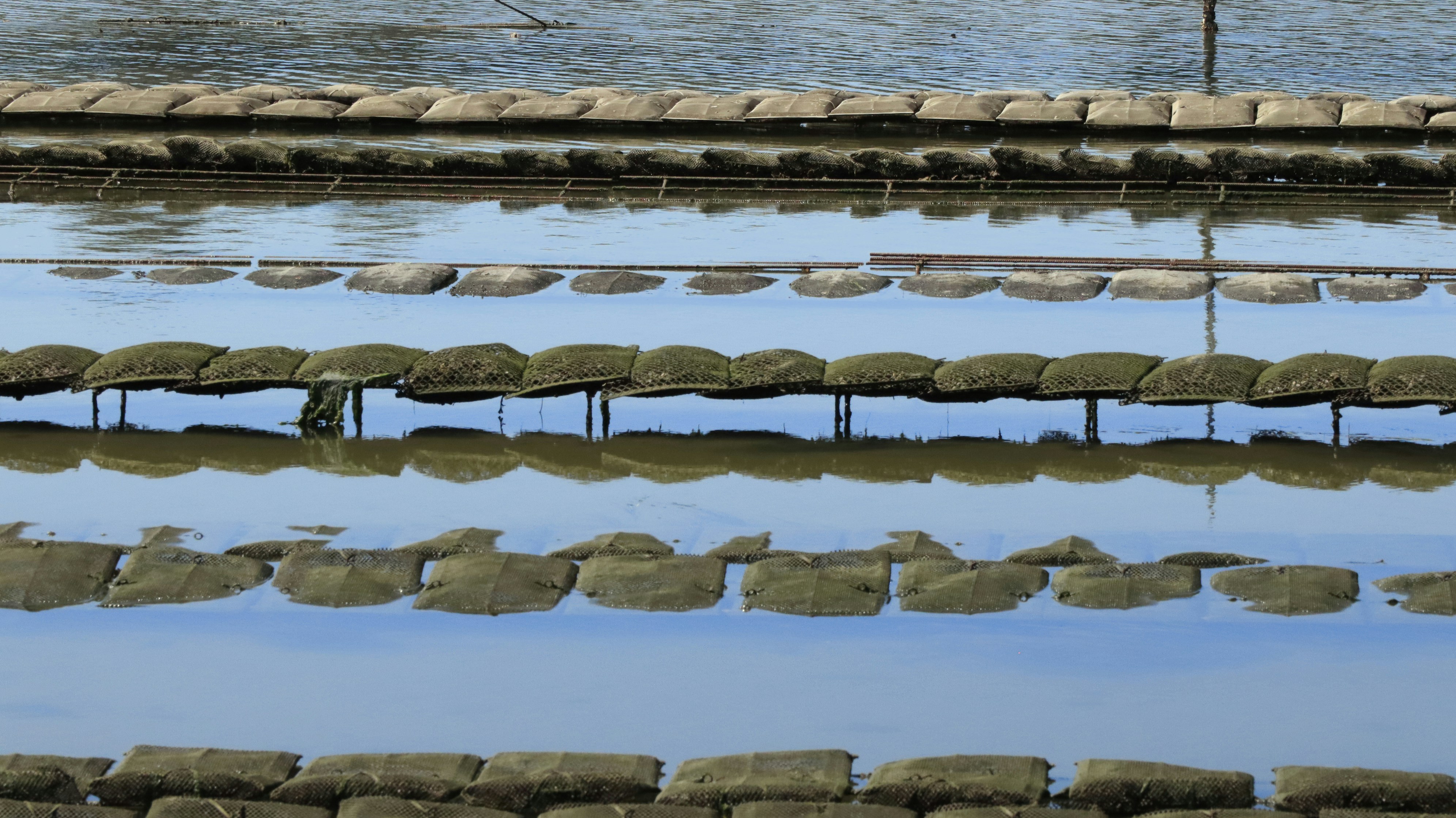 Floating stepping stones over mirrored water under a pale blue sky