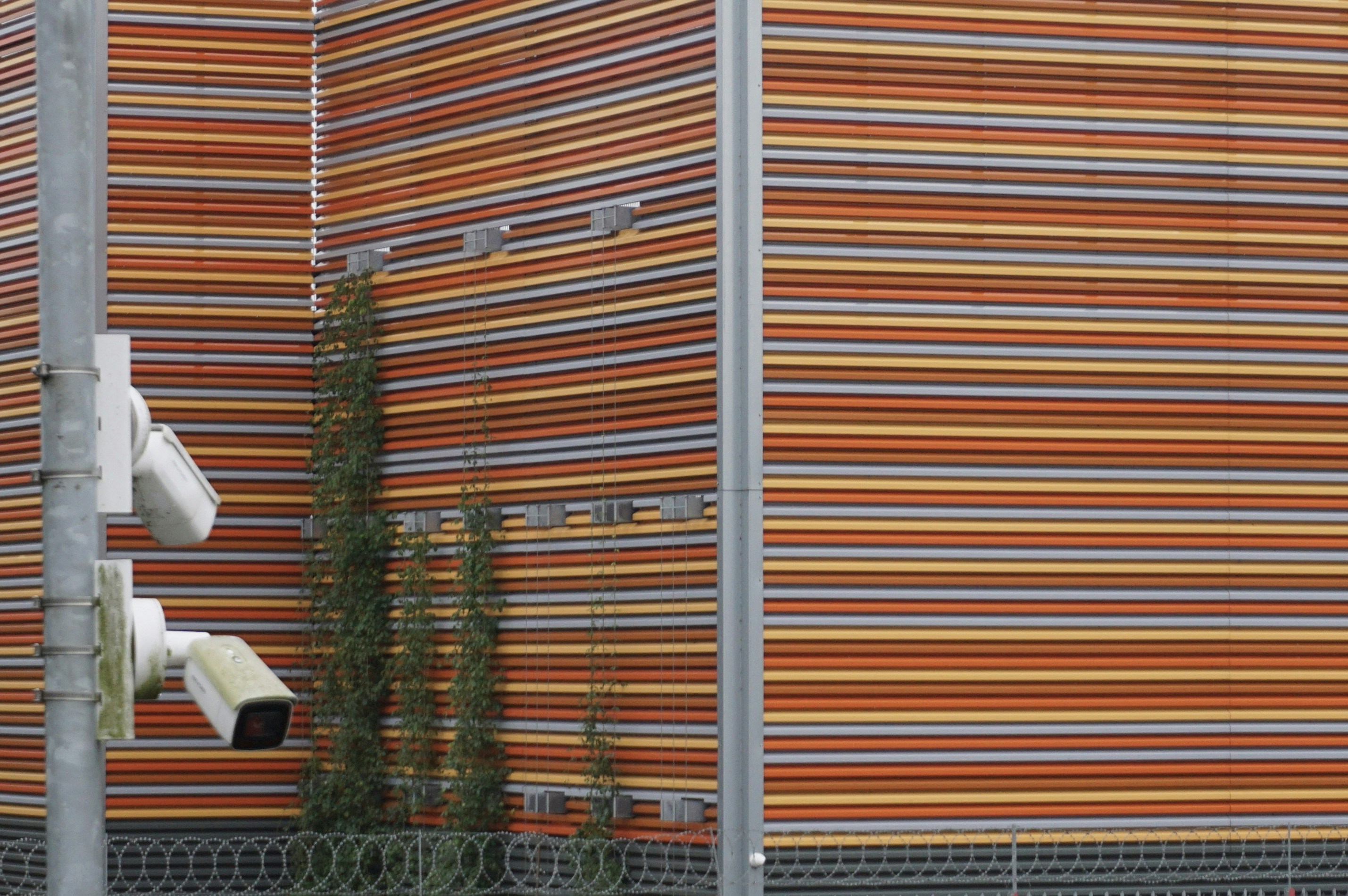 Industrial Echo: Stripes, Vines, and Static