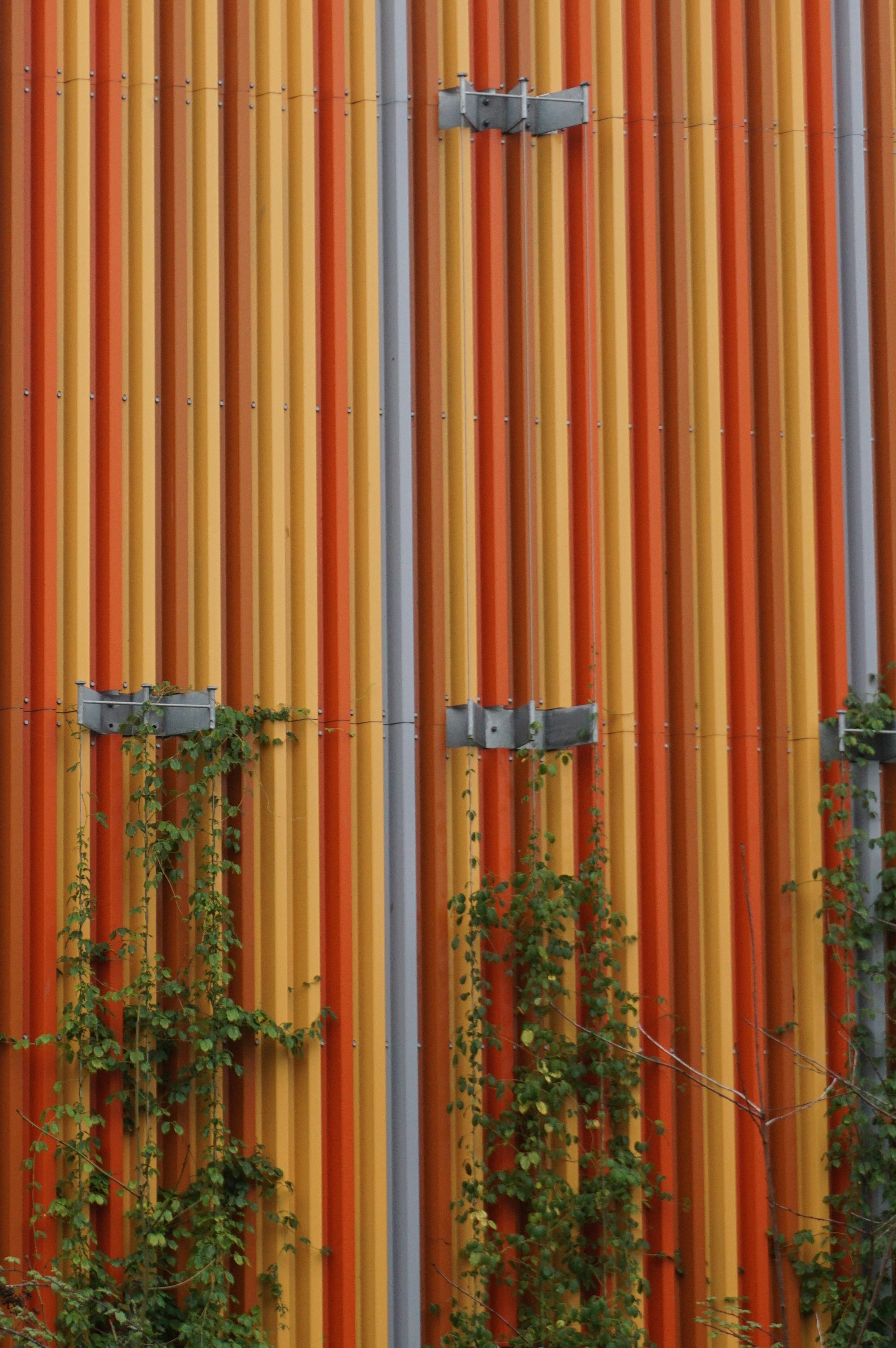 Vertical Amber Gateways with Green Climb