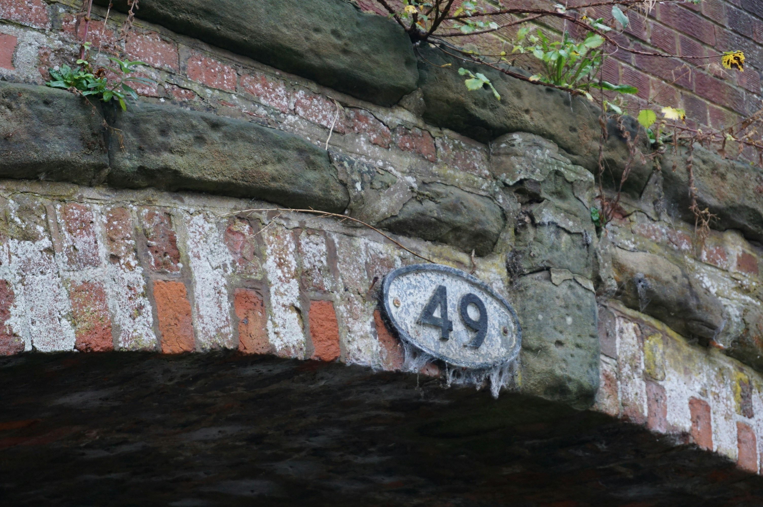 Stone Bridge Number 49: Weathered Crest Over a Dark Arch