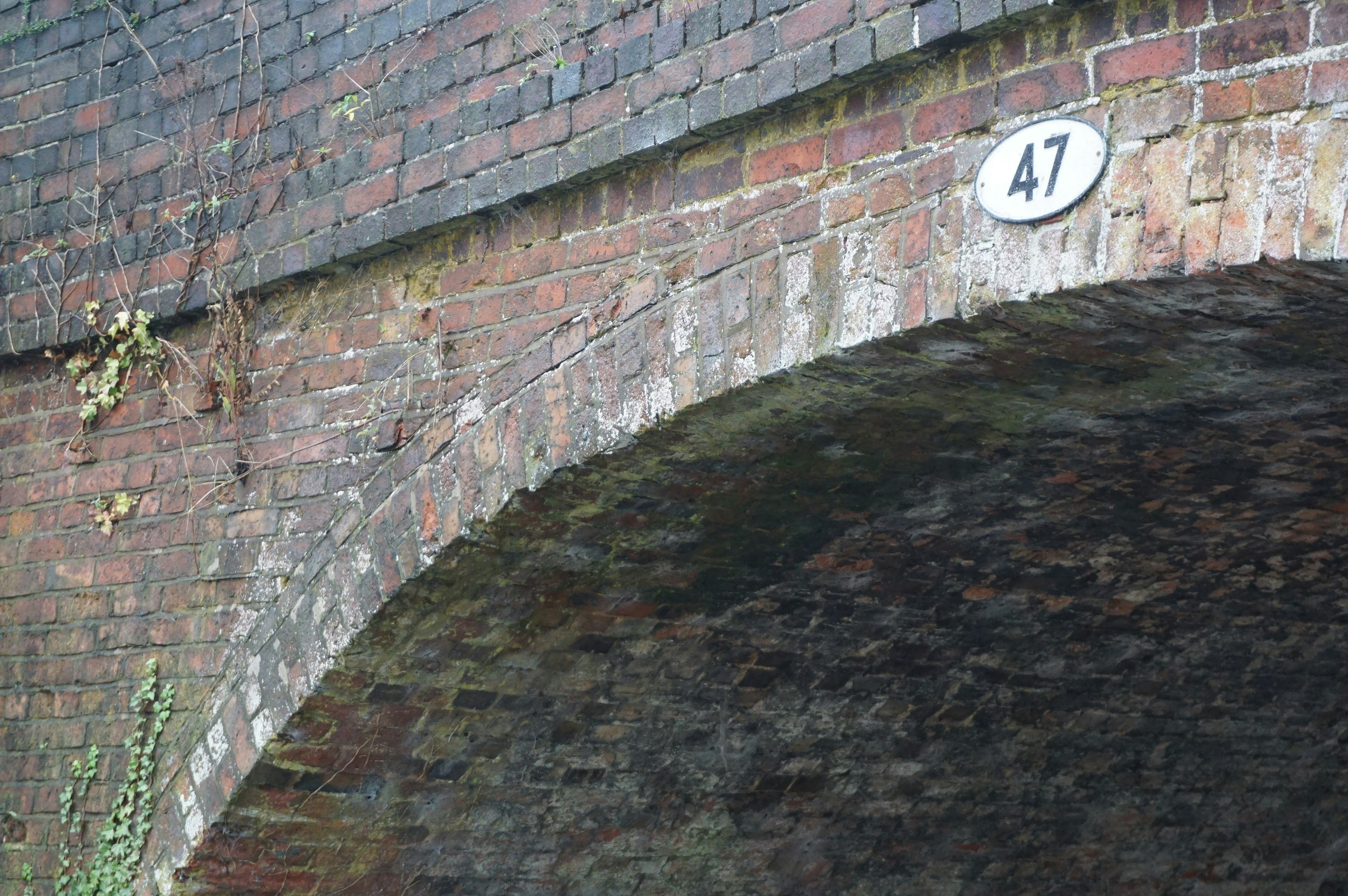 Archway Over a Rustic Brick Span