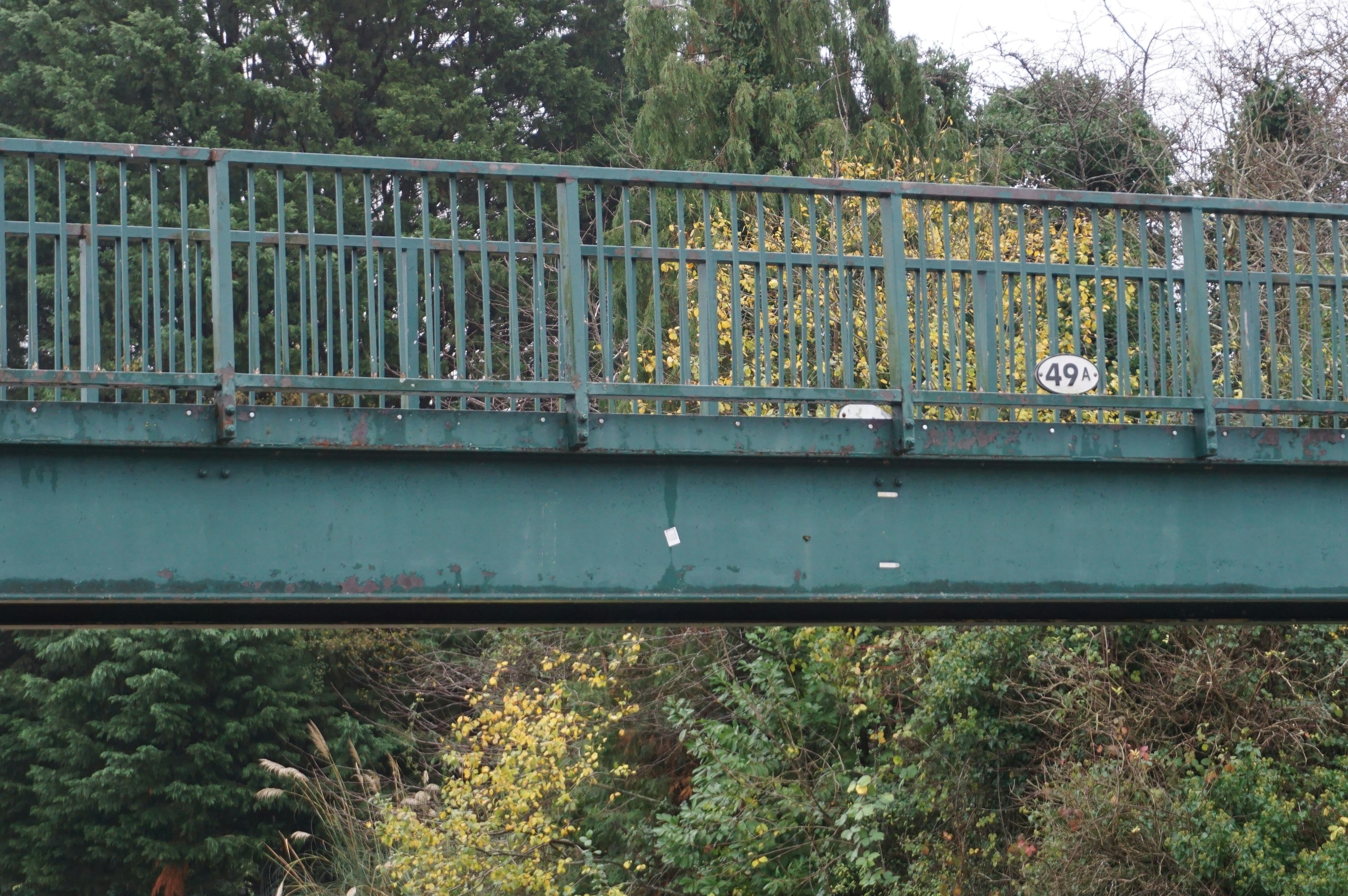Bridge Overlook: Weathered Railings and Greenery