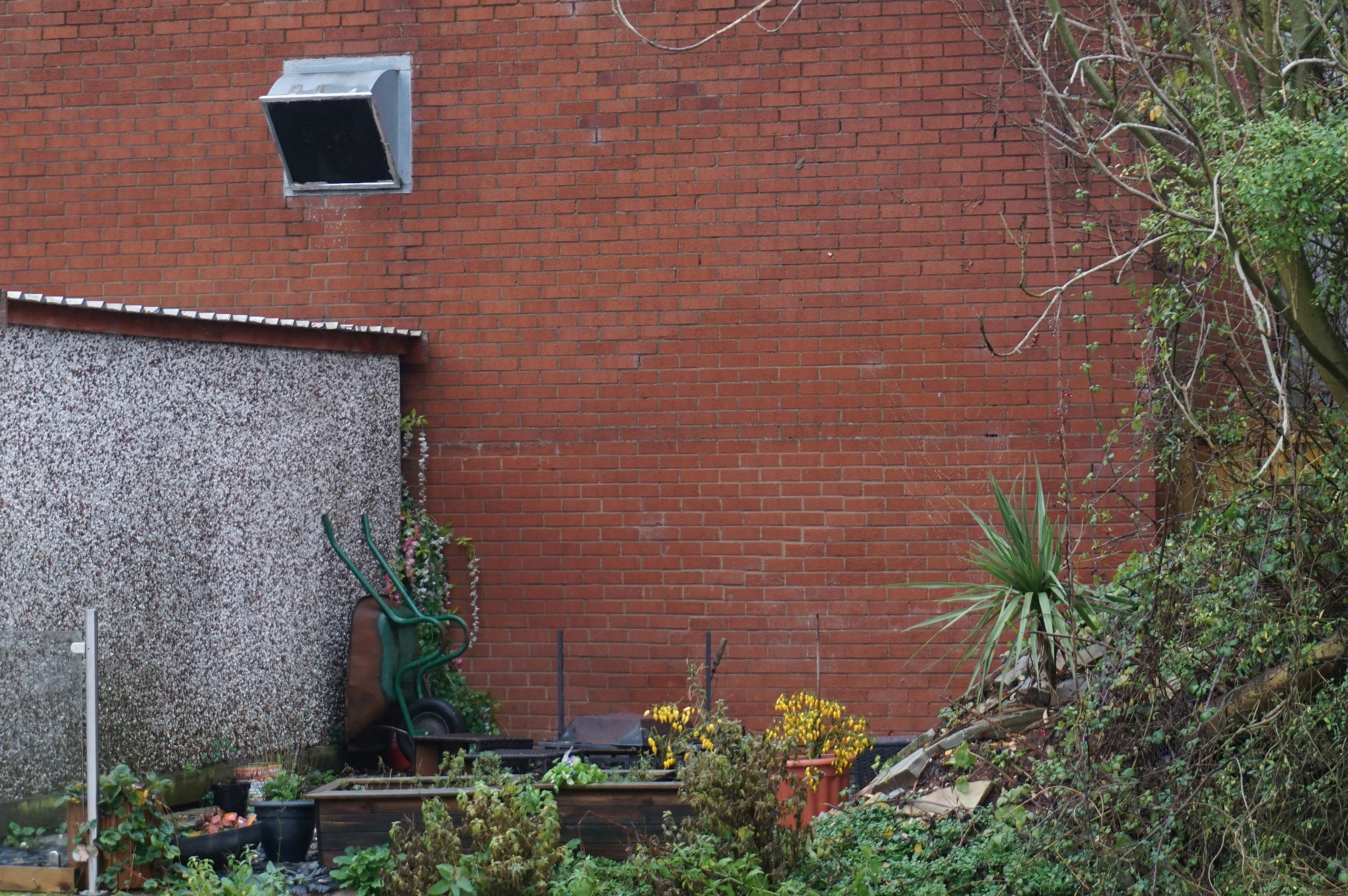 Brick Wall in a Quiet Urban Garden