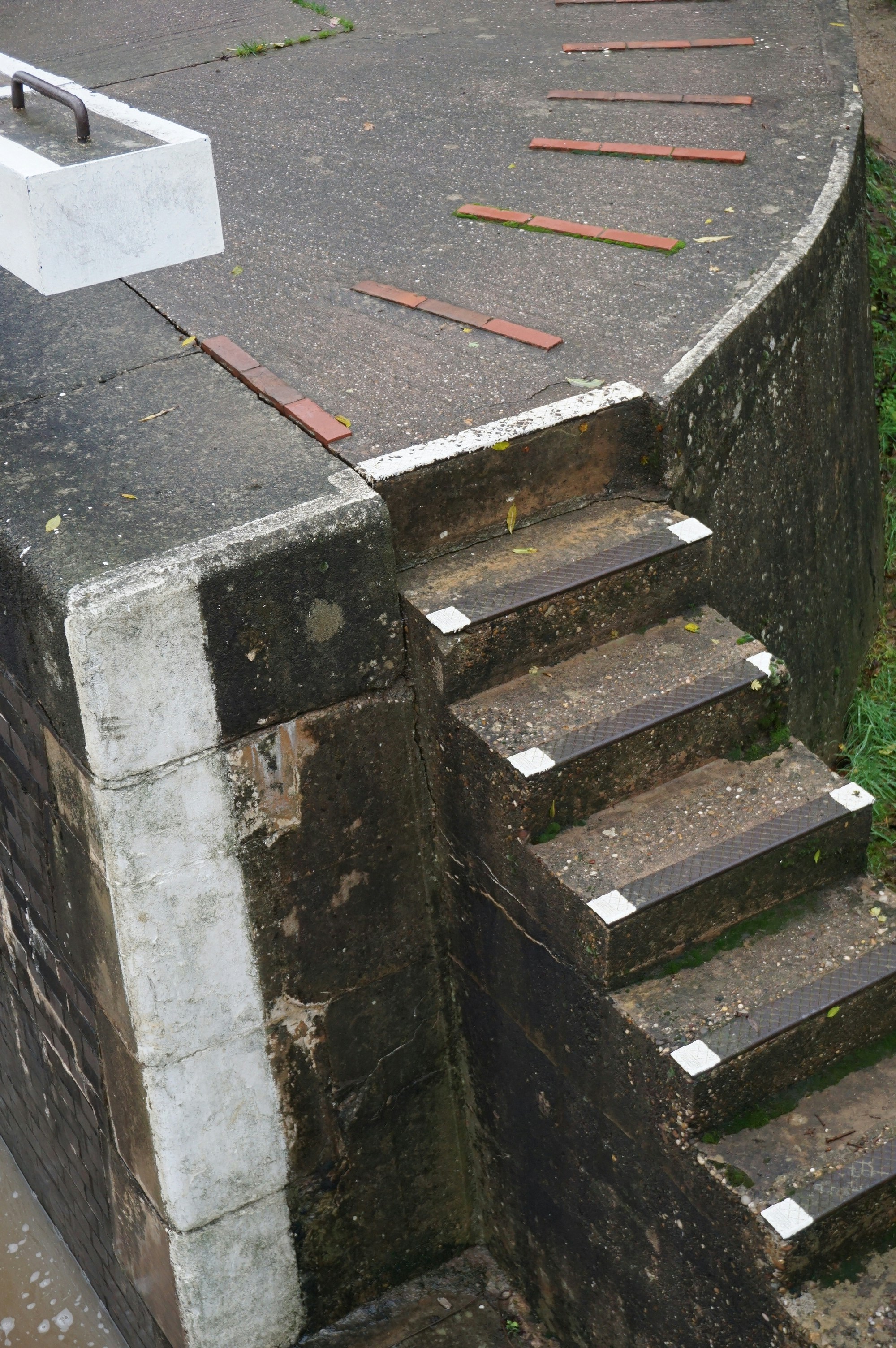 Weathered Concrete Stairway Descends into a Mossy Wall