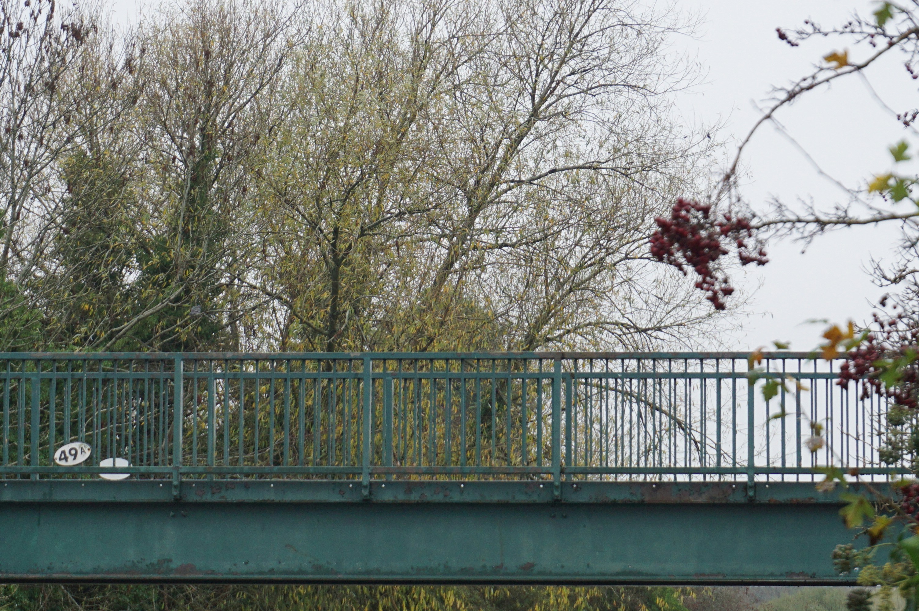 Muted Greens and Cold Steel: A Quiet Bridge Span
