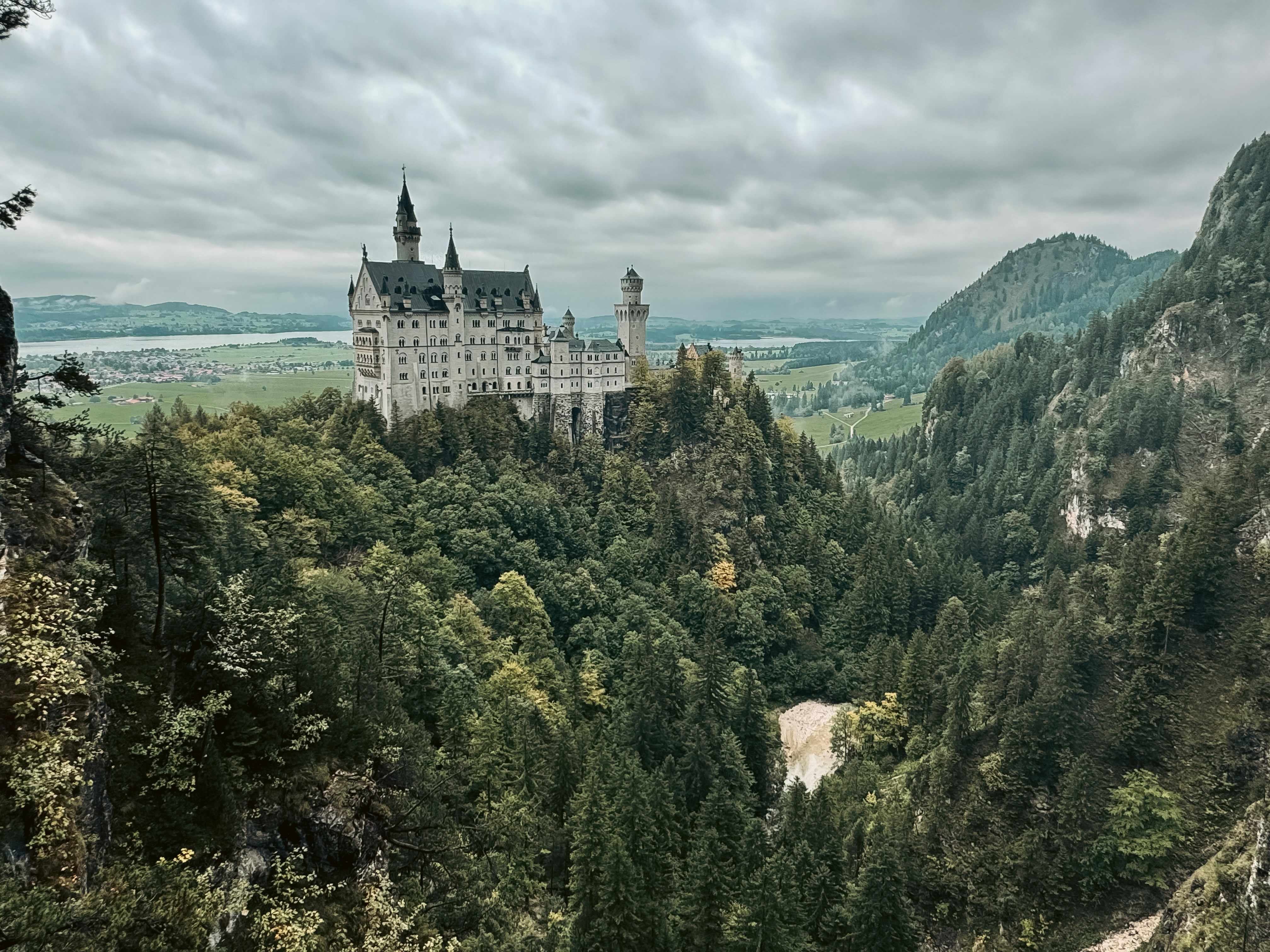 Neuschwanstein Amid the Bavarian Pines