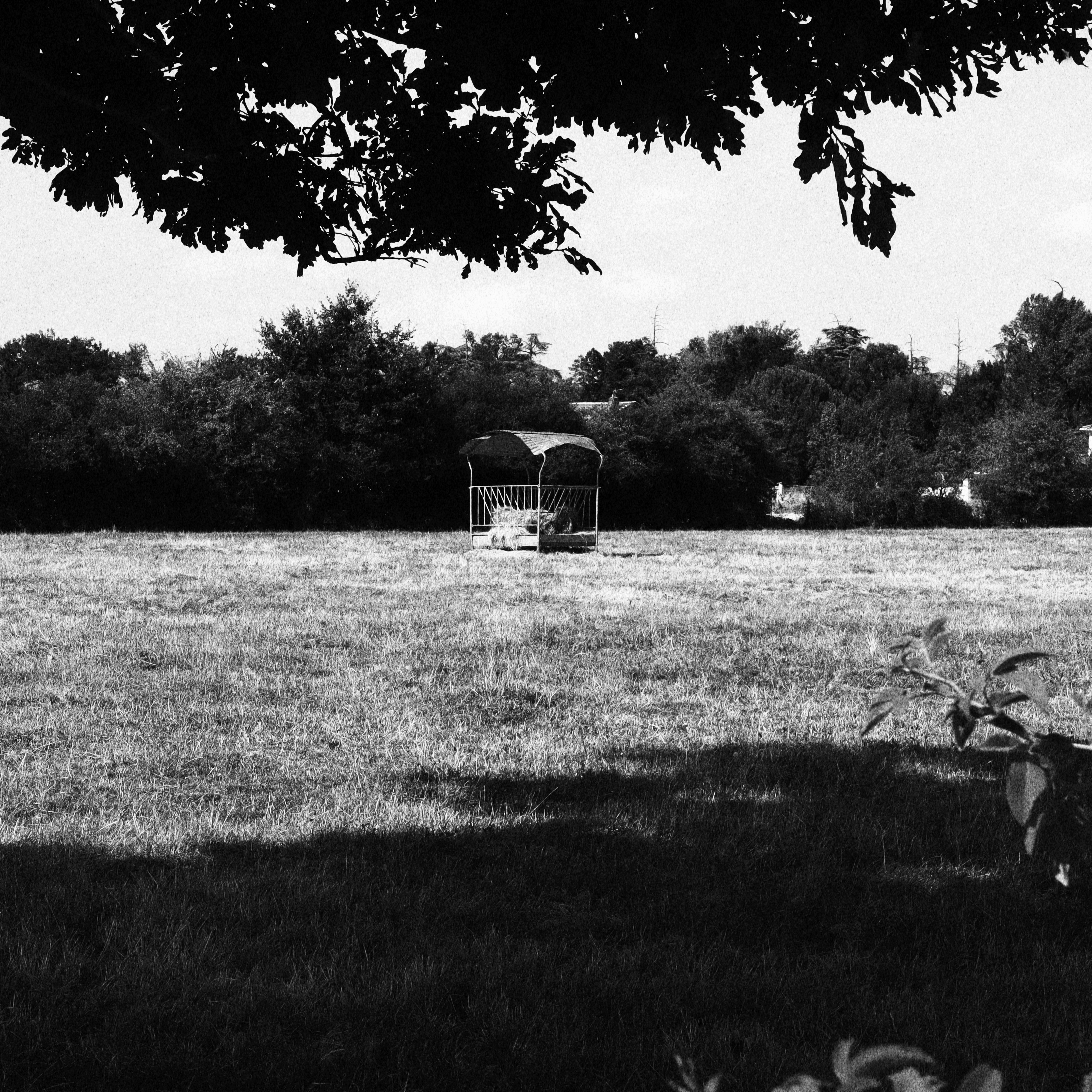 Quiet Gazebo at the Meadow’s Center