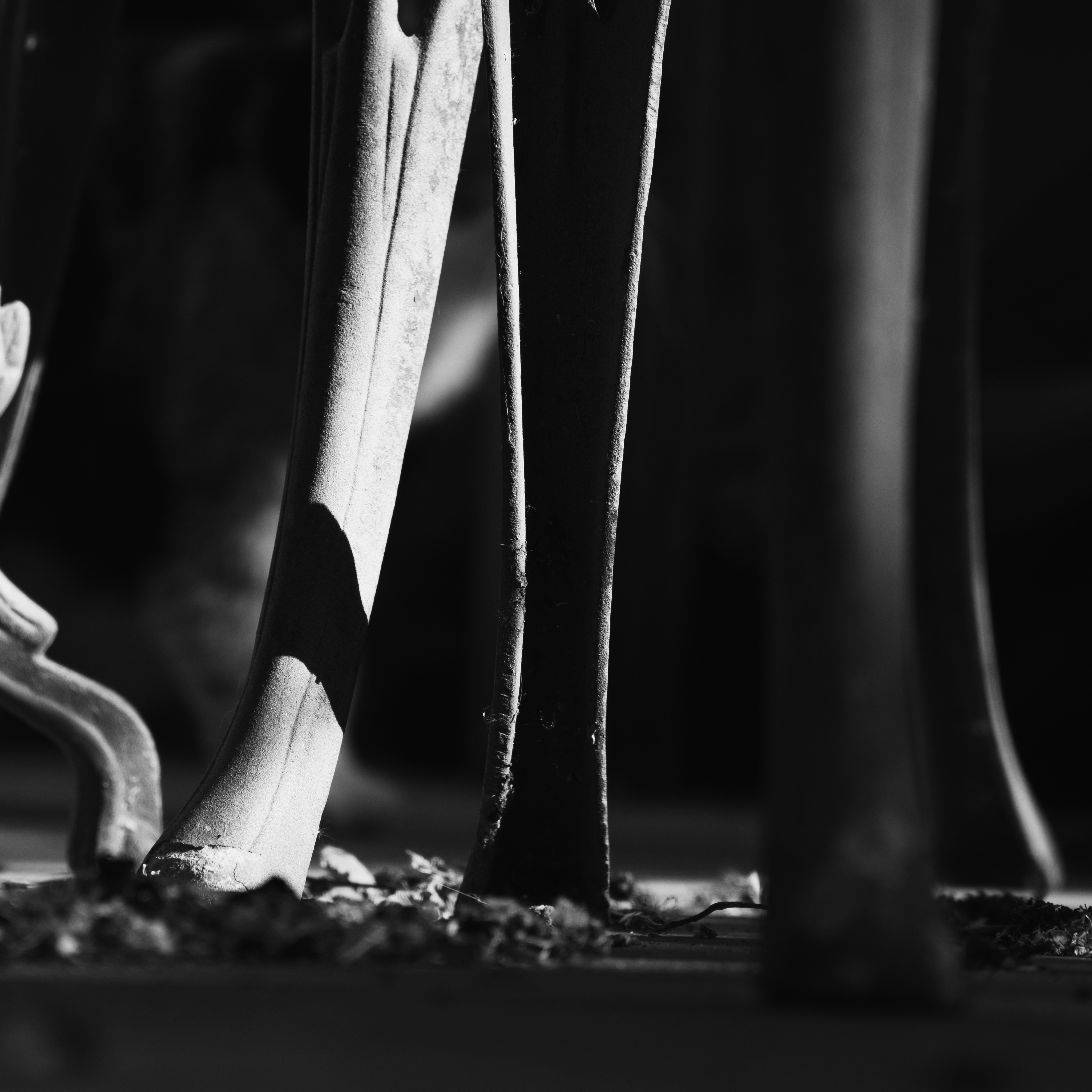 Tangled Shadows Under the Ground: A Close-Up of Plant Stems