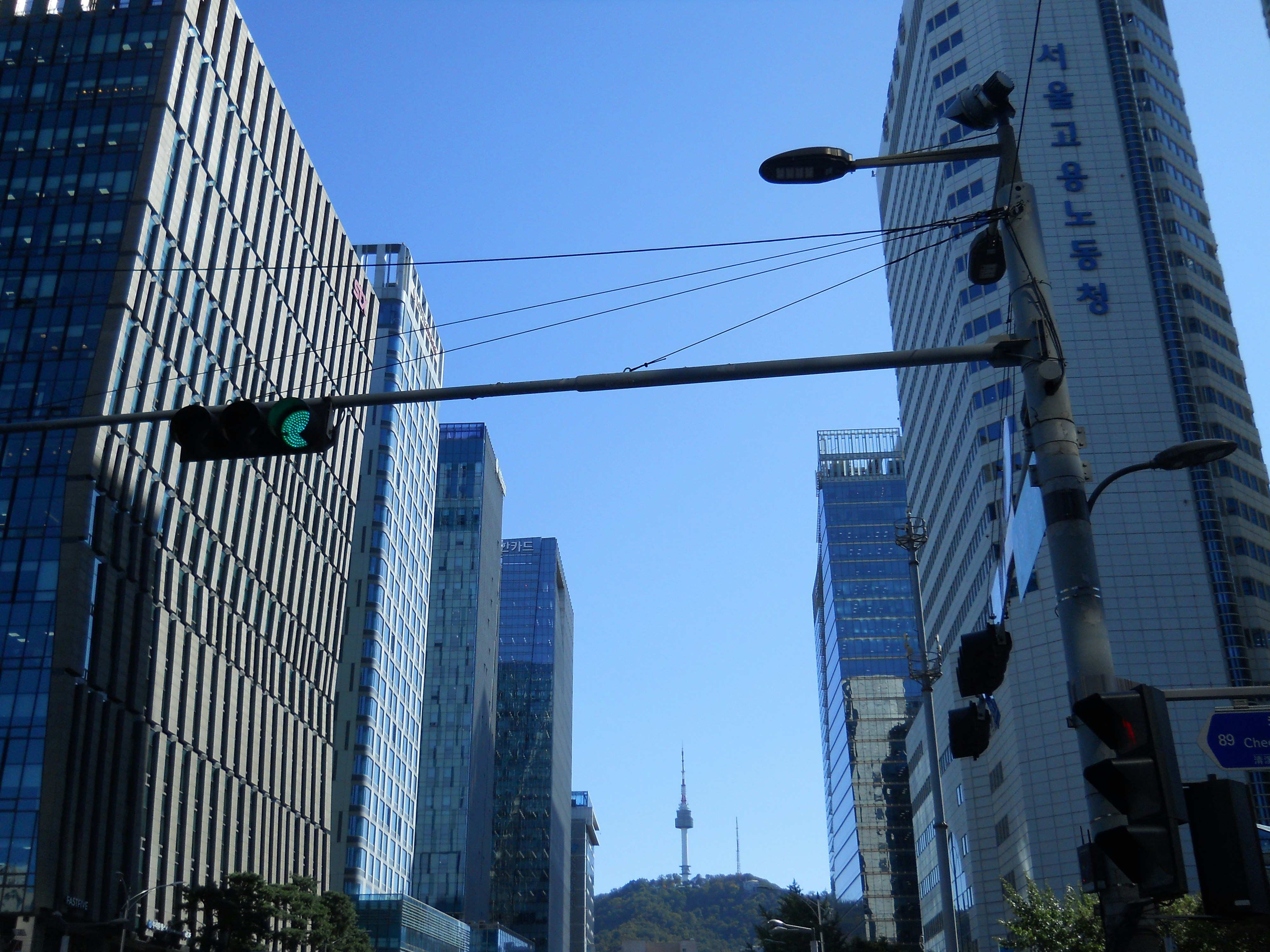 Skyscraper Canyon: A Street-Level View Beneath Tall Blue Glass