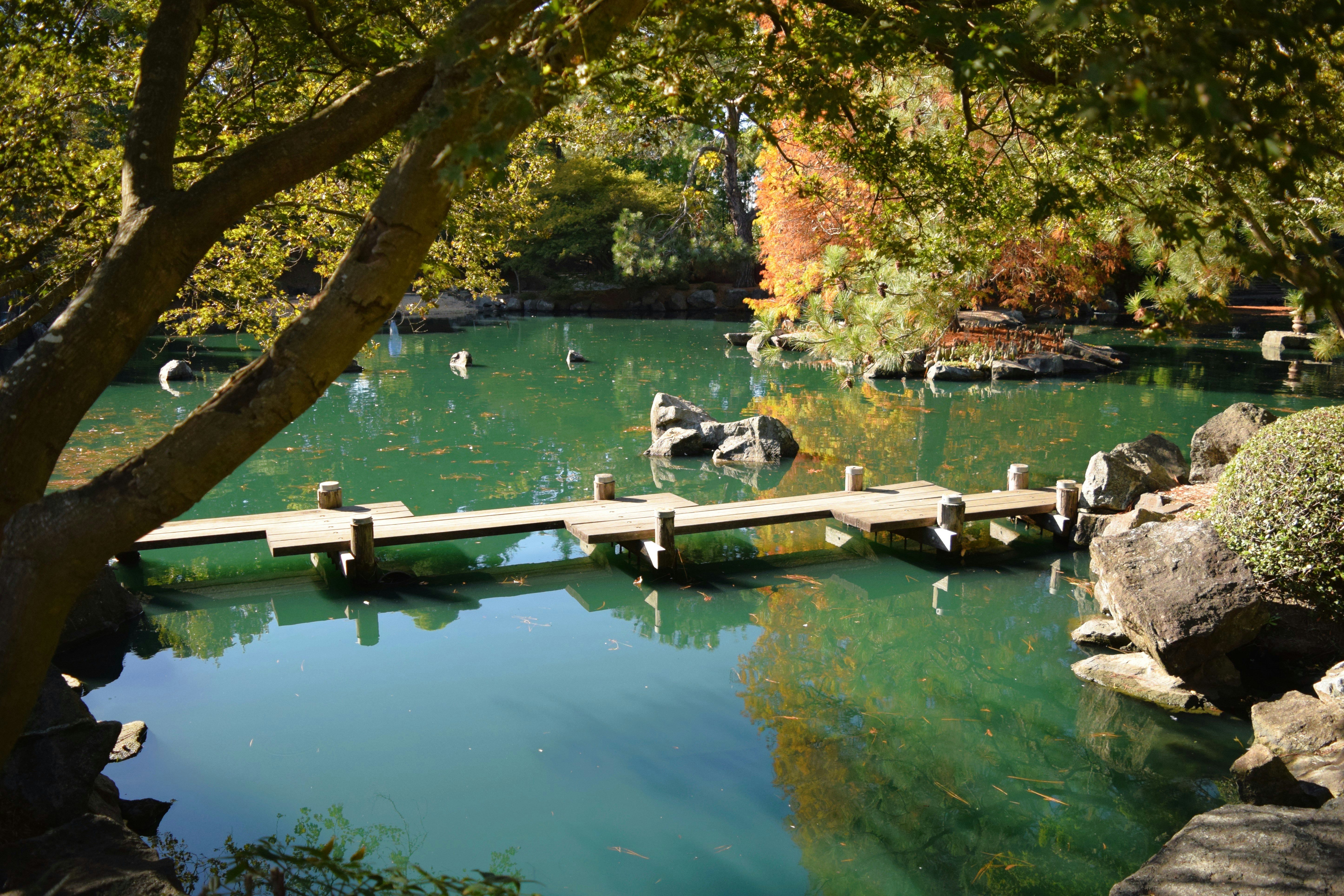 Wooden bridge over a tranquil green pond in a garden. photo – Free ...