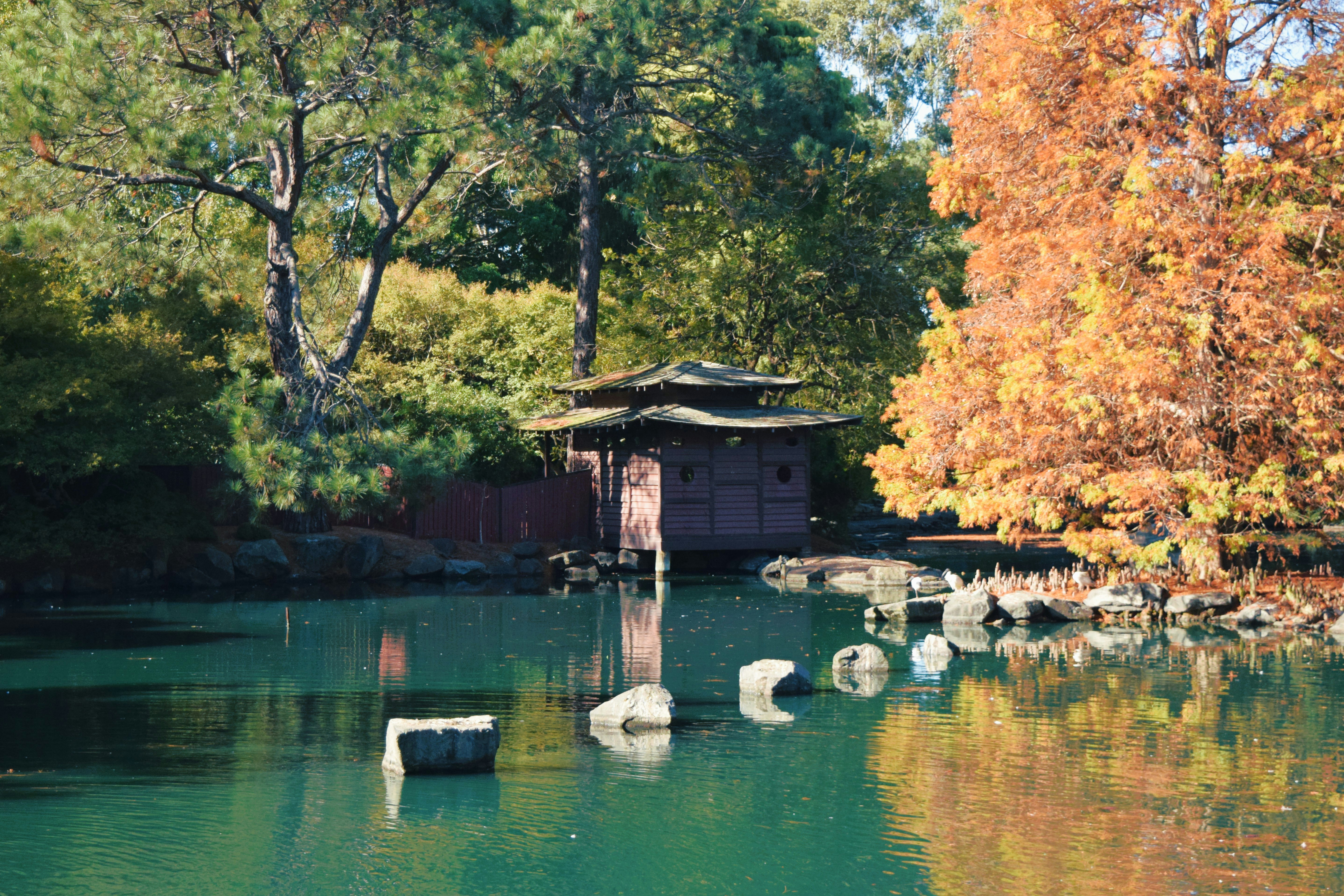 Autumn Reflections by the Teahouse Pond