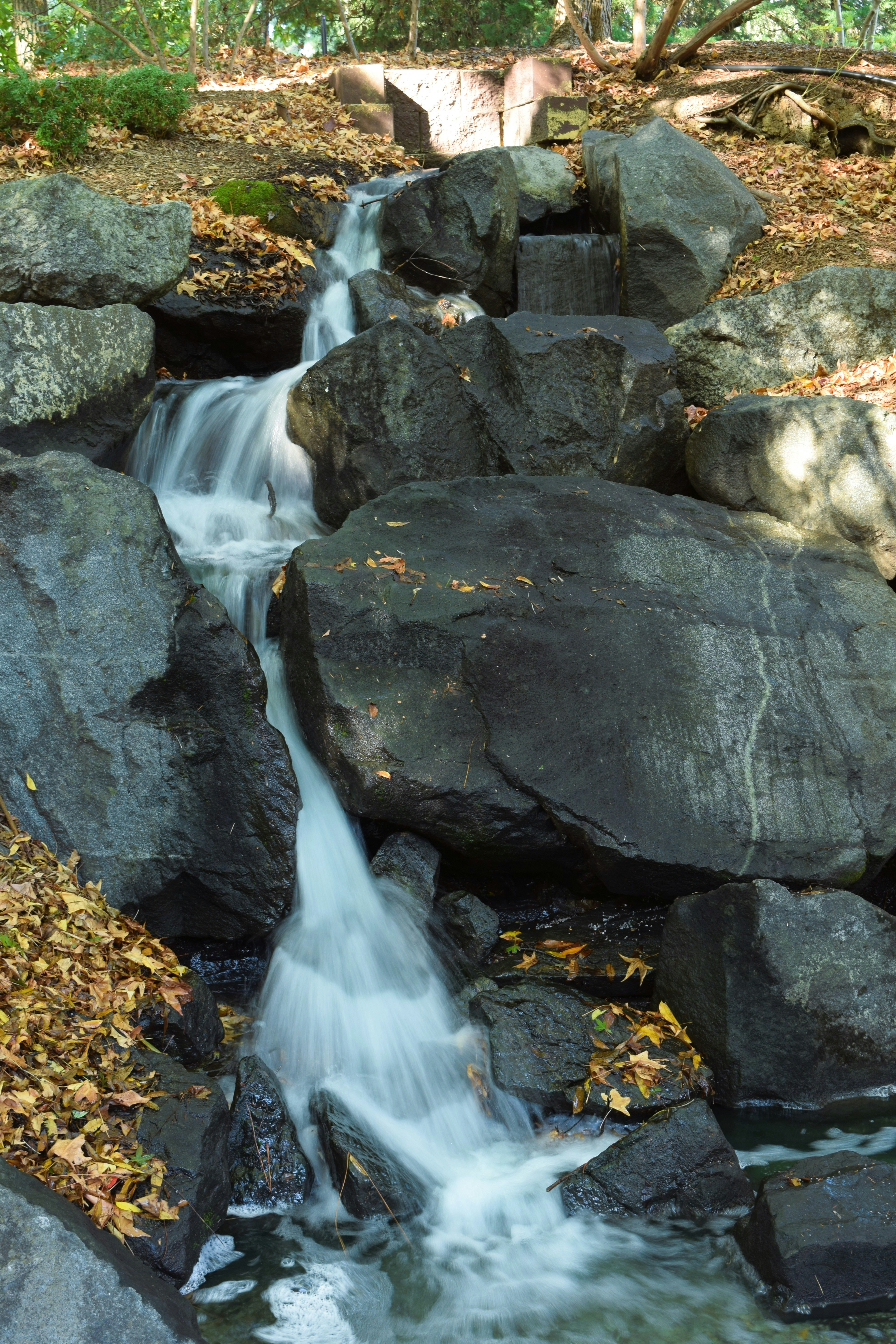 Rushing Cascade Between Weathered Basalt: A Quiet Moment in the Rock Garden