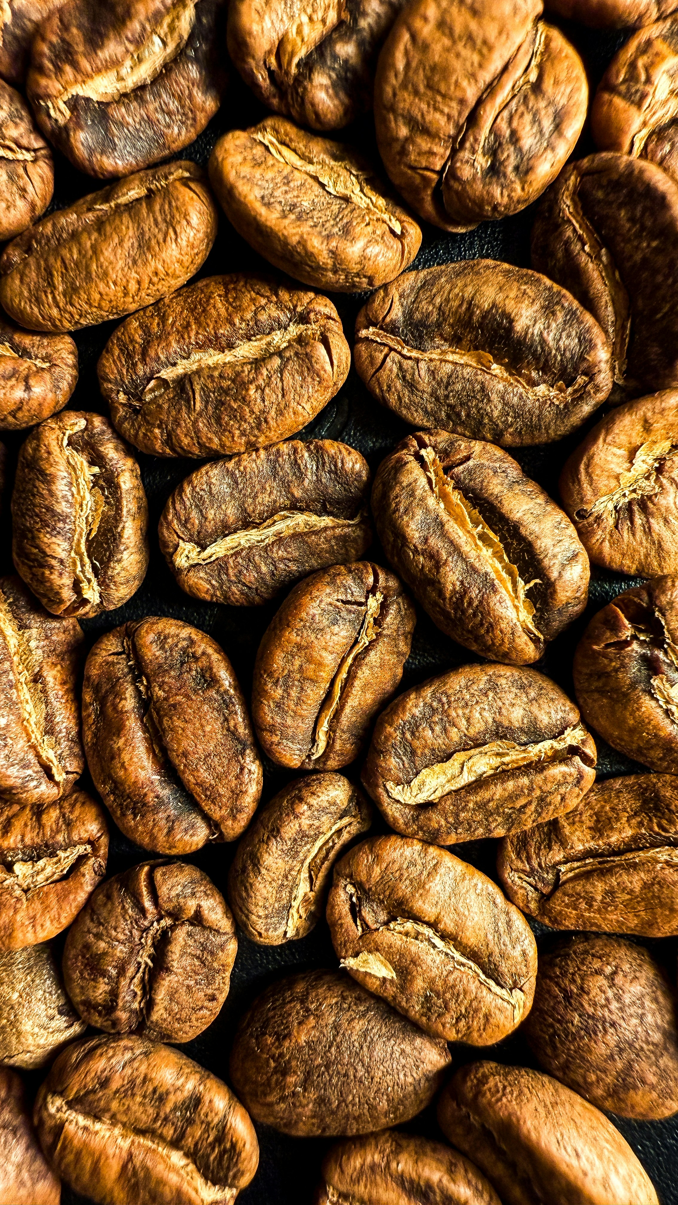 A Rich Roast: Close-Up of Cocoa-Brown Coffee Beans