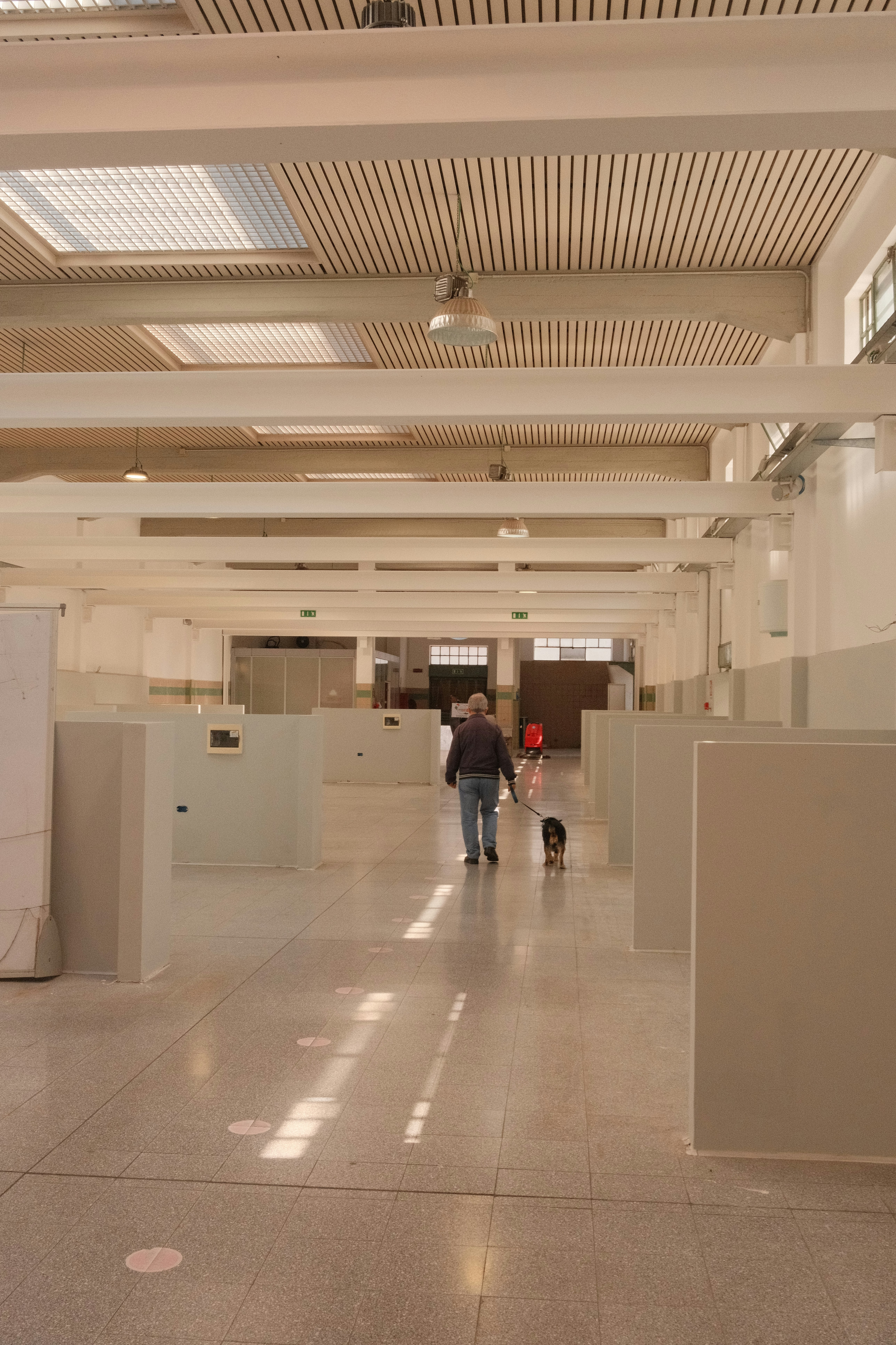 Long Corridor Walk: A Human and Dog in a Quiet Industrial Hall