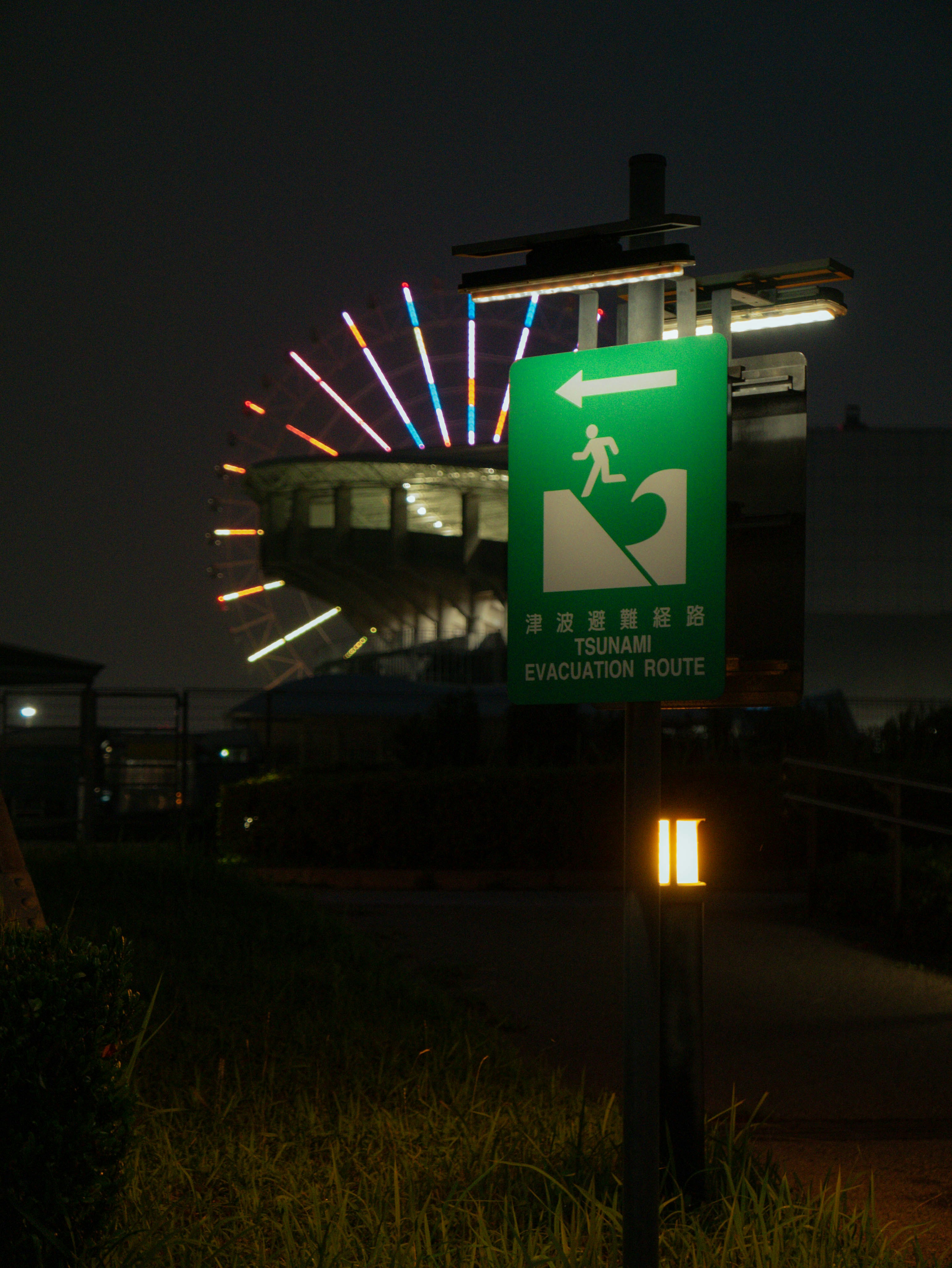 Green Tide: Emergency Pathway Under Neon Ferris Wheel