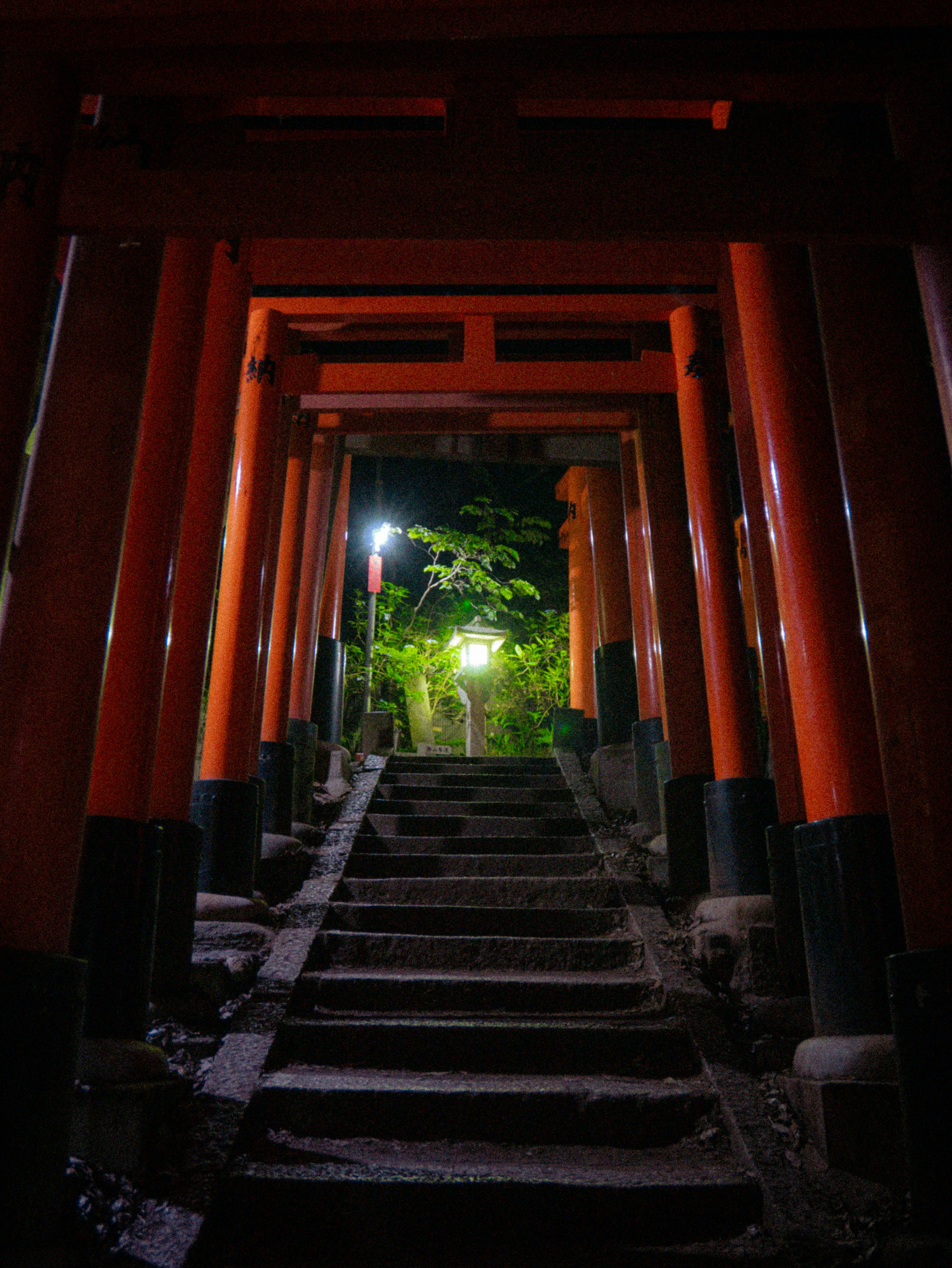 Torii Gate Lantern: A Night Walk Through Red Columns