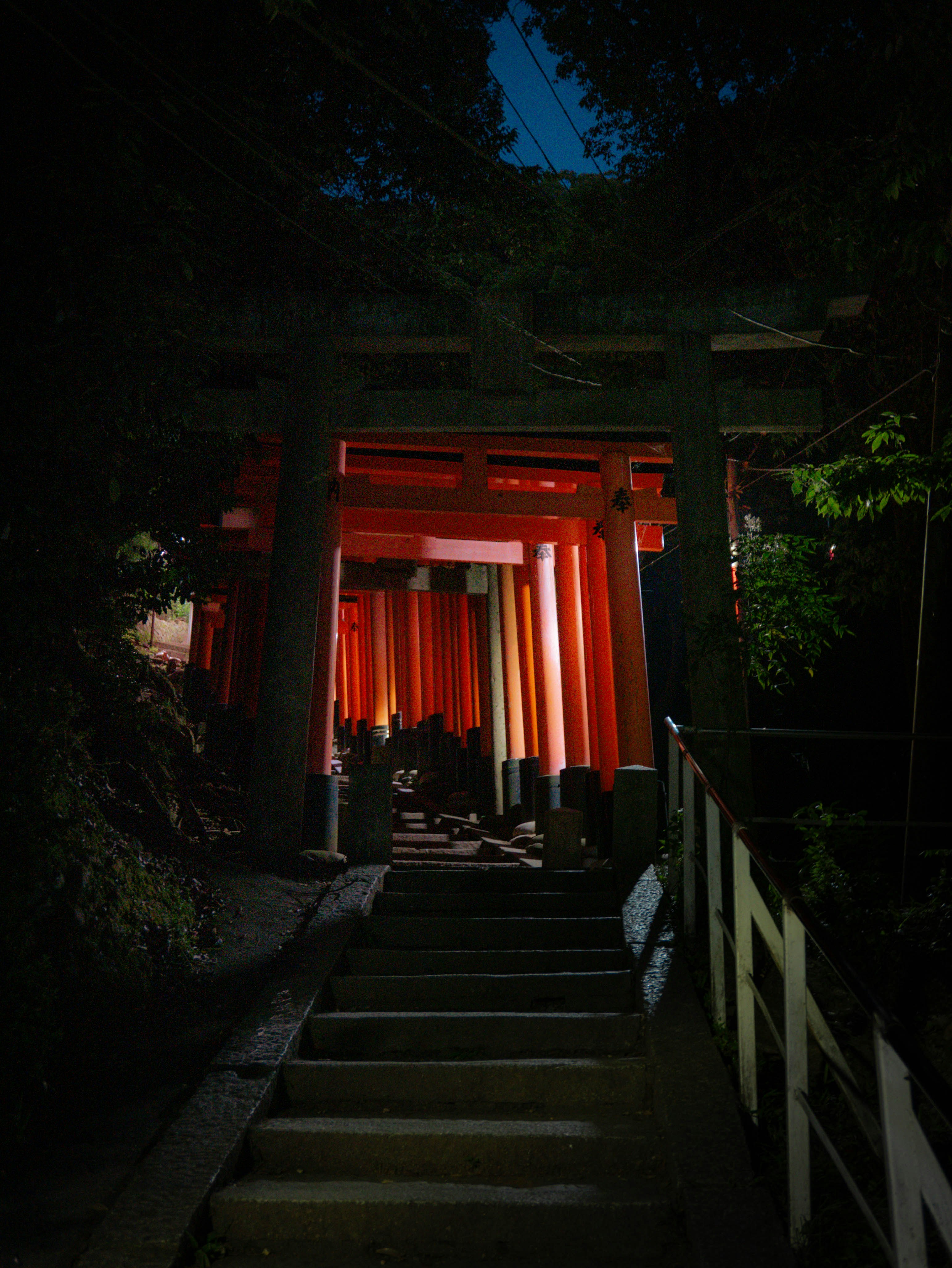 Red Corridor of Torii: A Night Voyage Through Lantern-lit Gateways