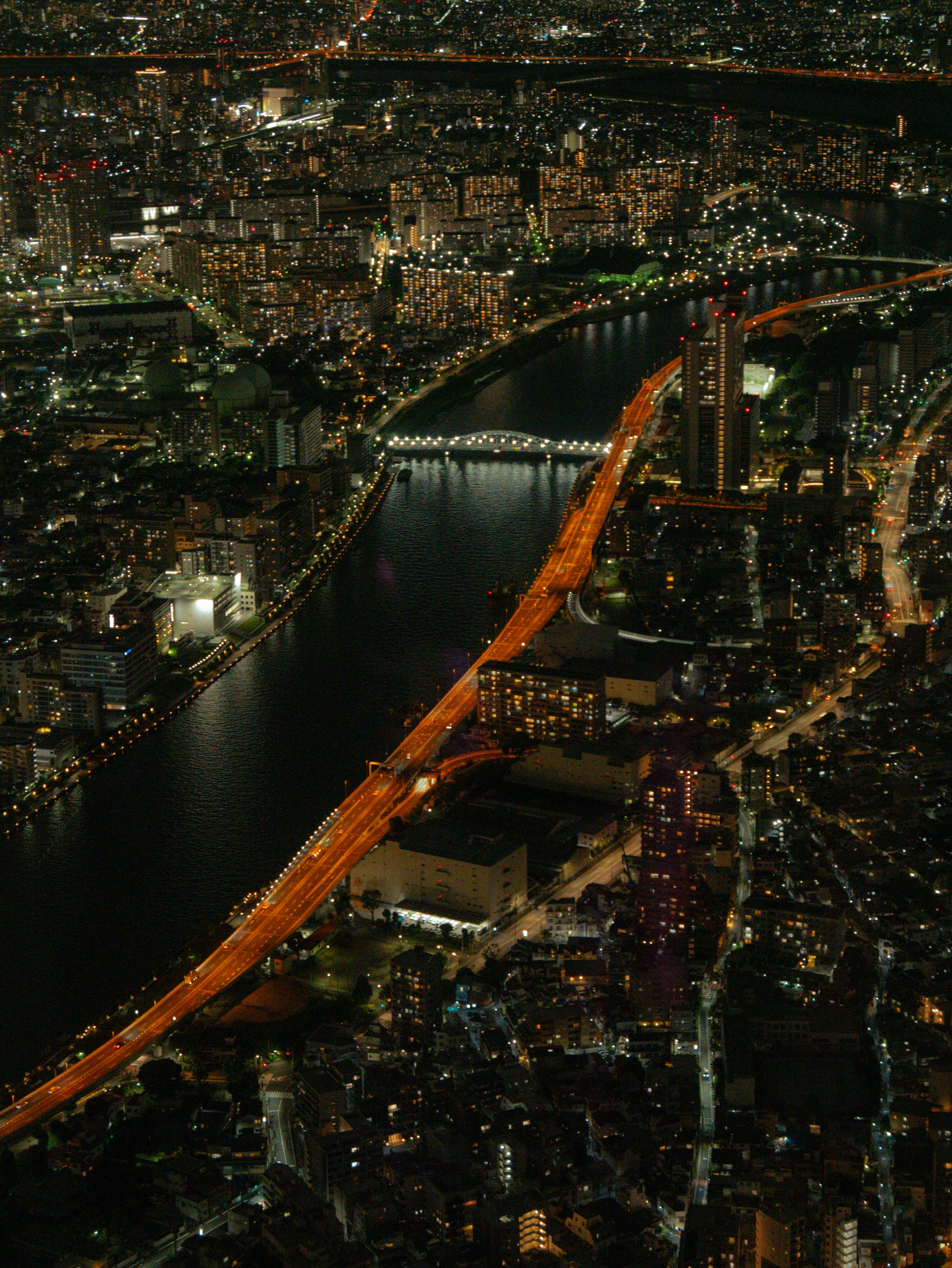 Nighttime River Crossing: Neon Arteries and Bridges Linking City Lights
