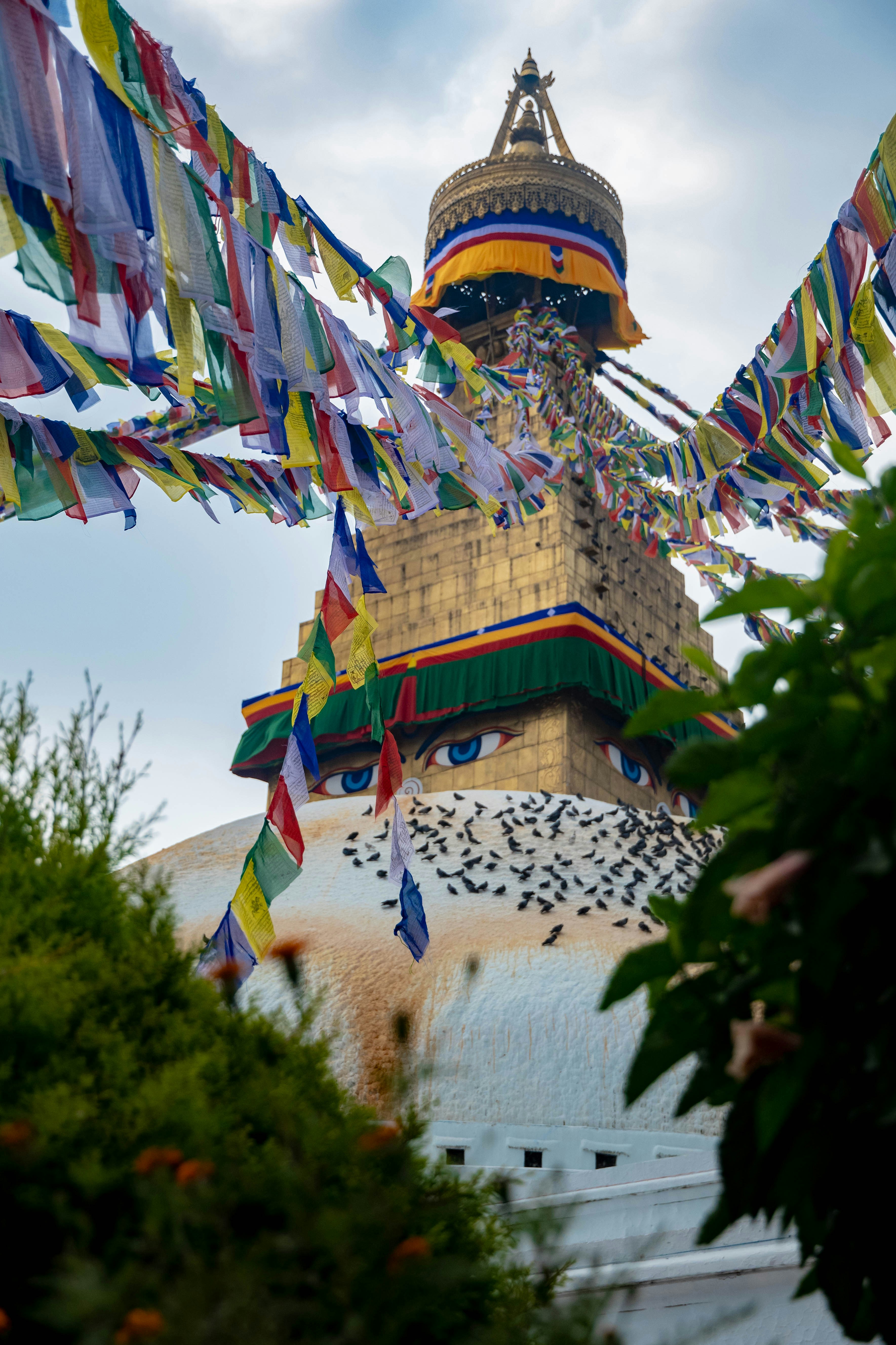 Prayer Flags and Painted Eyes: The Golden Spire Between Colors