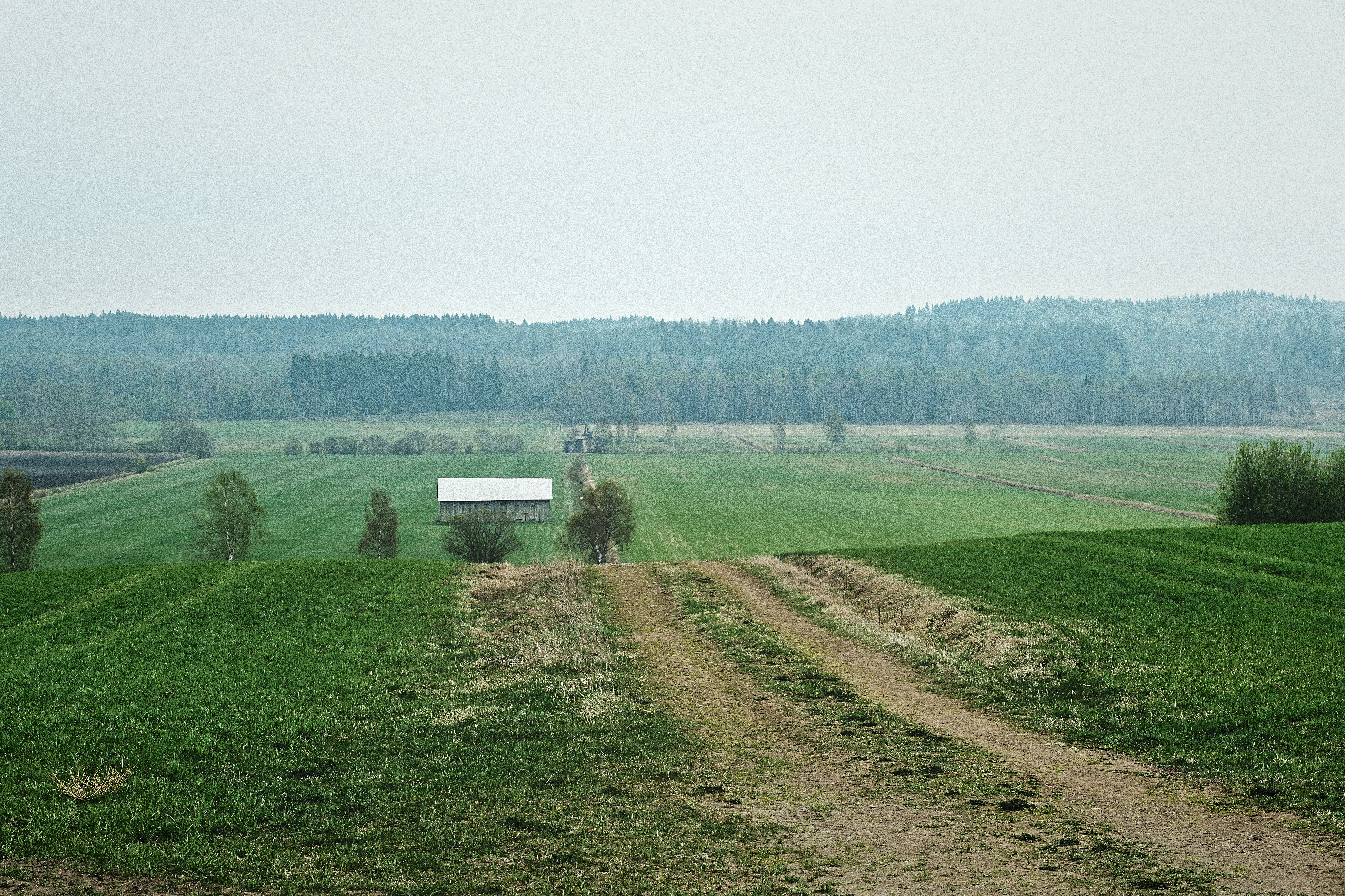 Quiet Farm Road Toward the Horizon