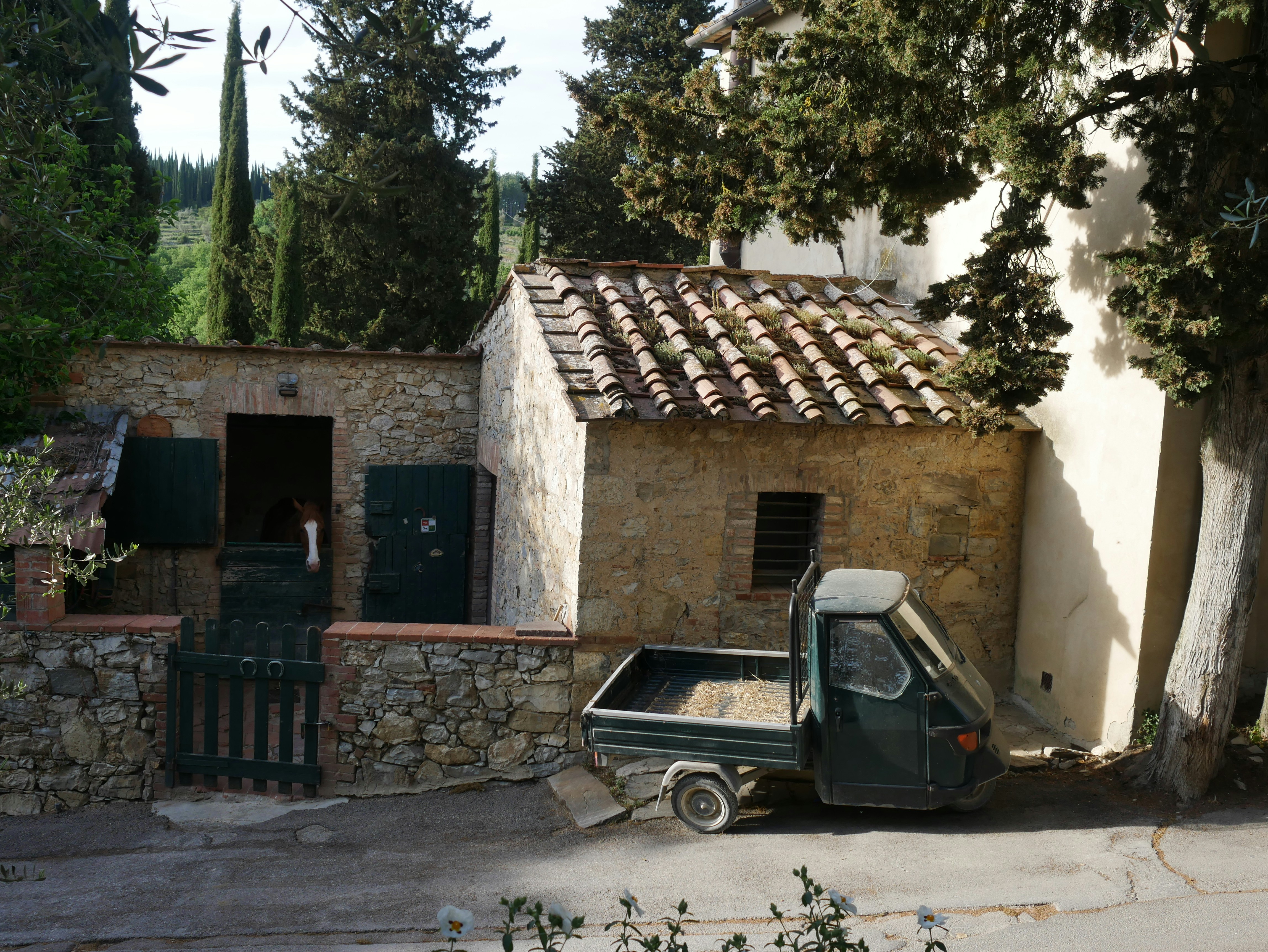 Quiet Commune: A Sunlit Courtyard with a Weathered Truck