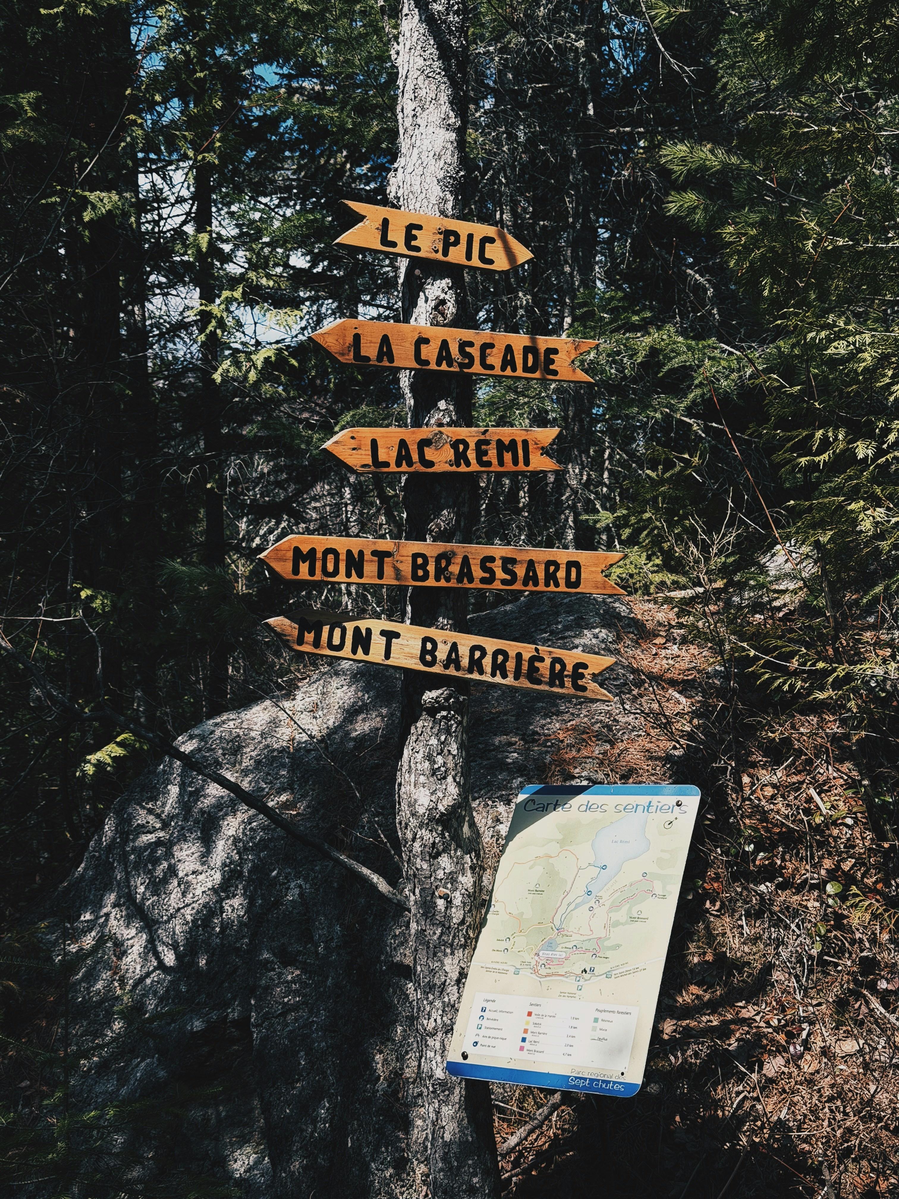 Wooden Signposts Point the Way Through Pine Forests