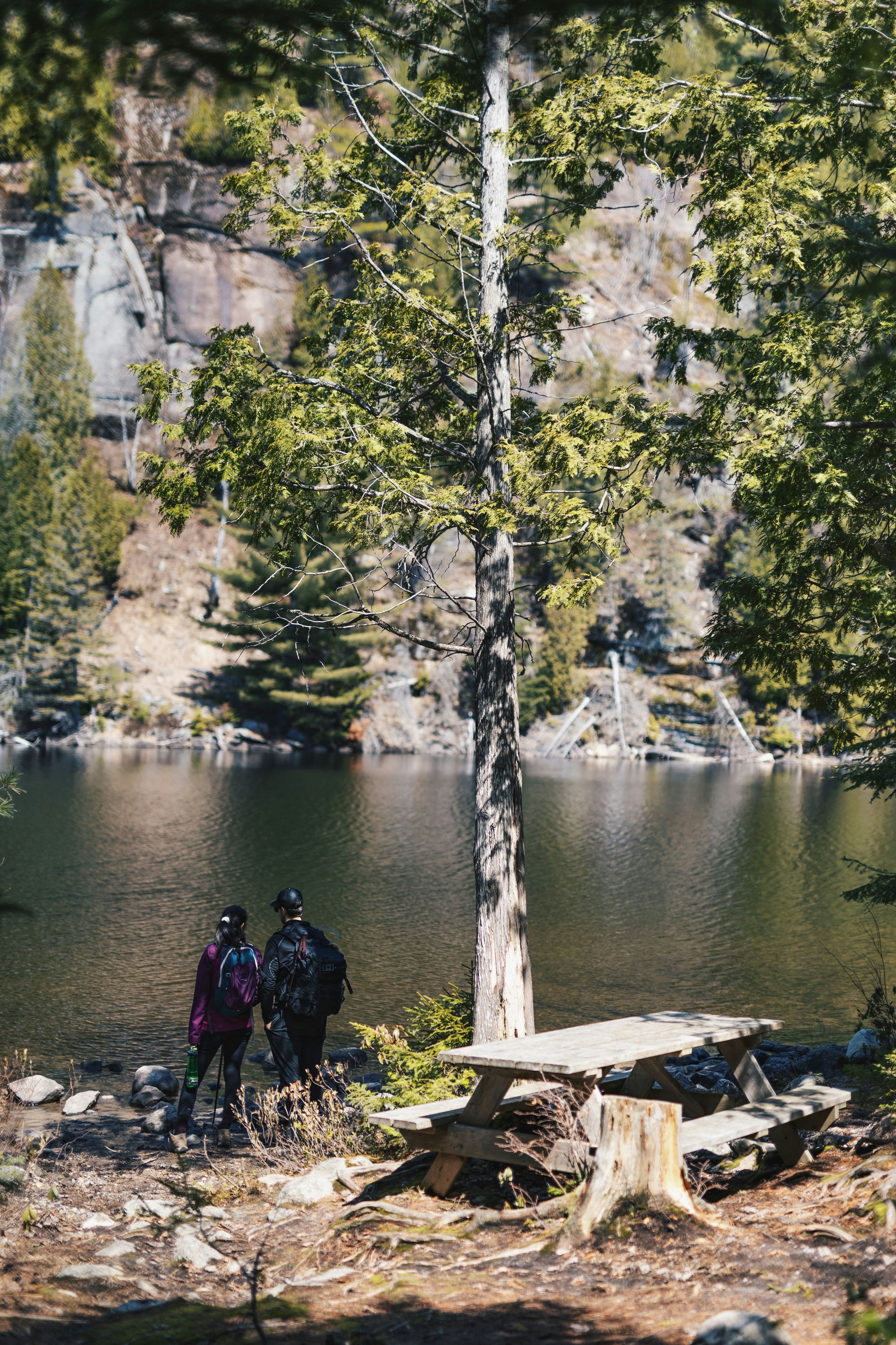 Two hikers by the lakeshore beneath a towering pine