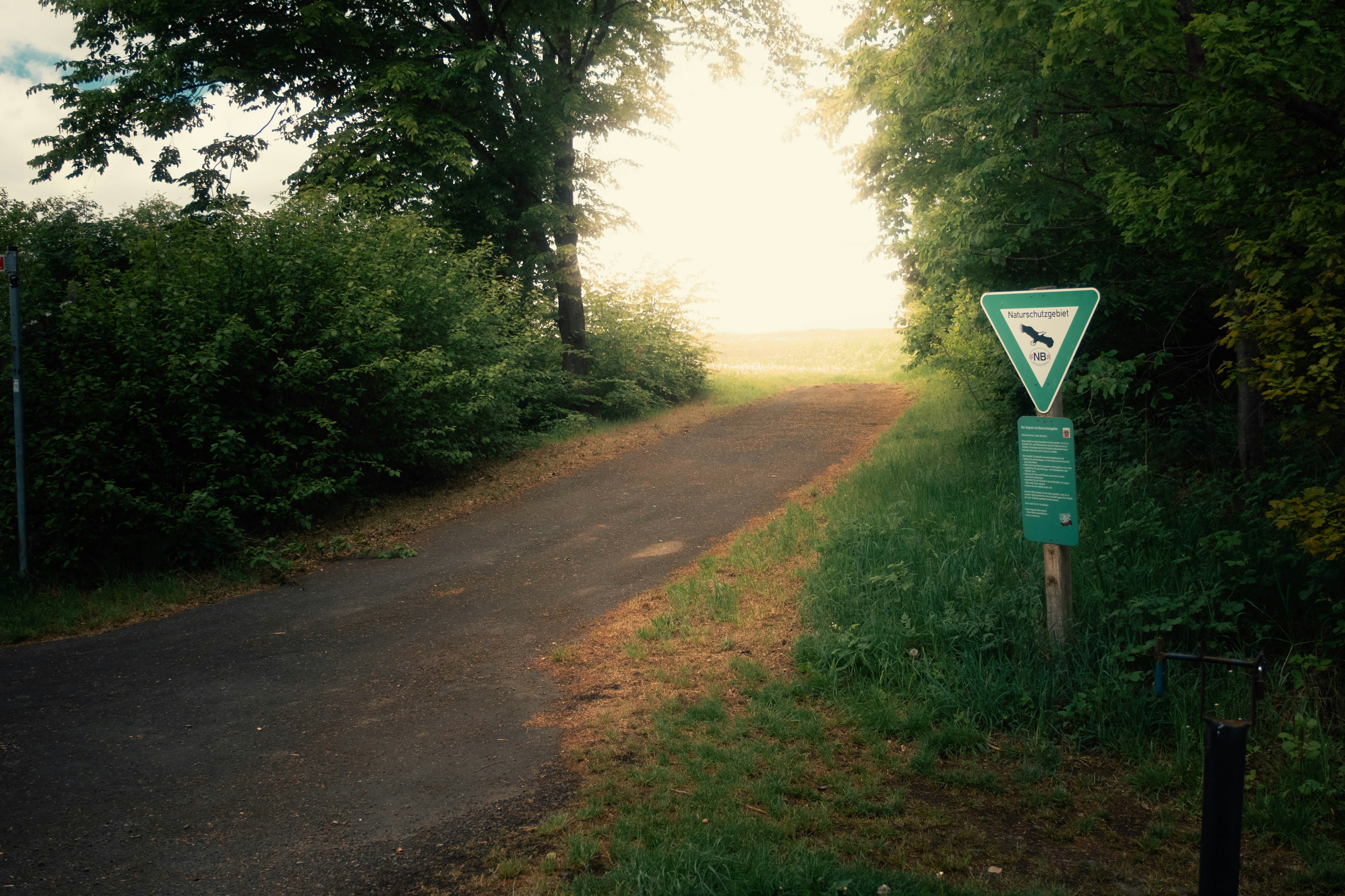 Path to the Quiet Horizon