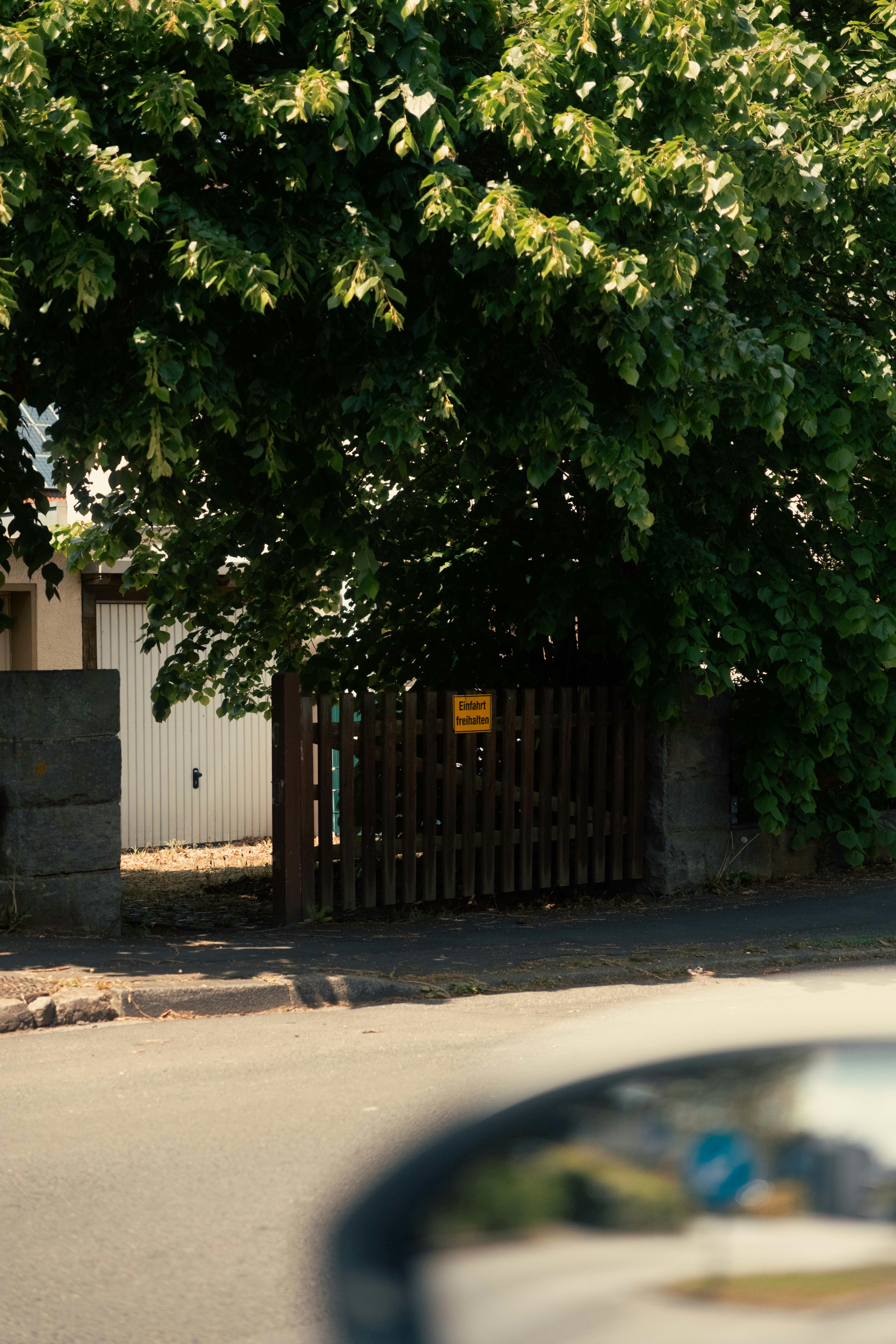 Hidden Gate under the Shade of a Mature Tree