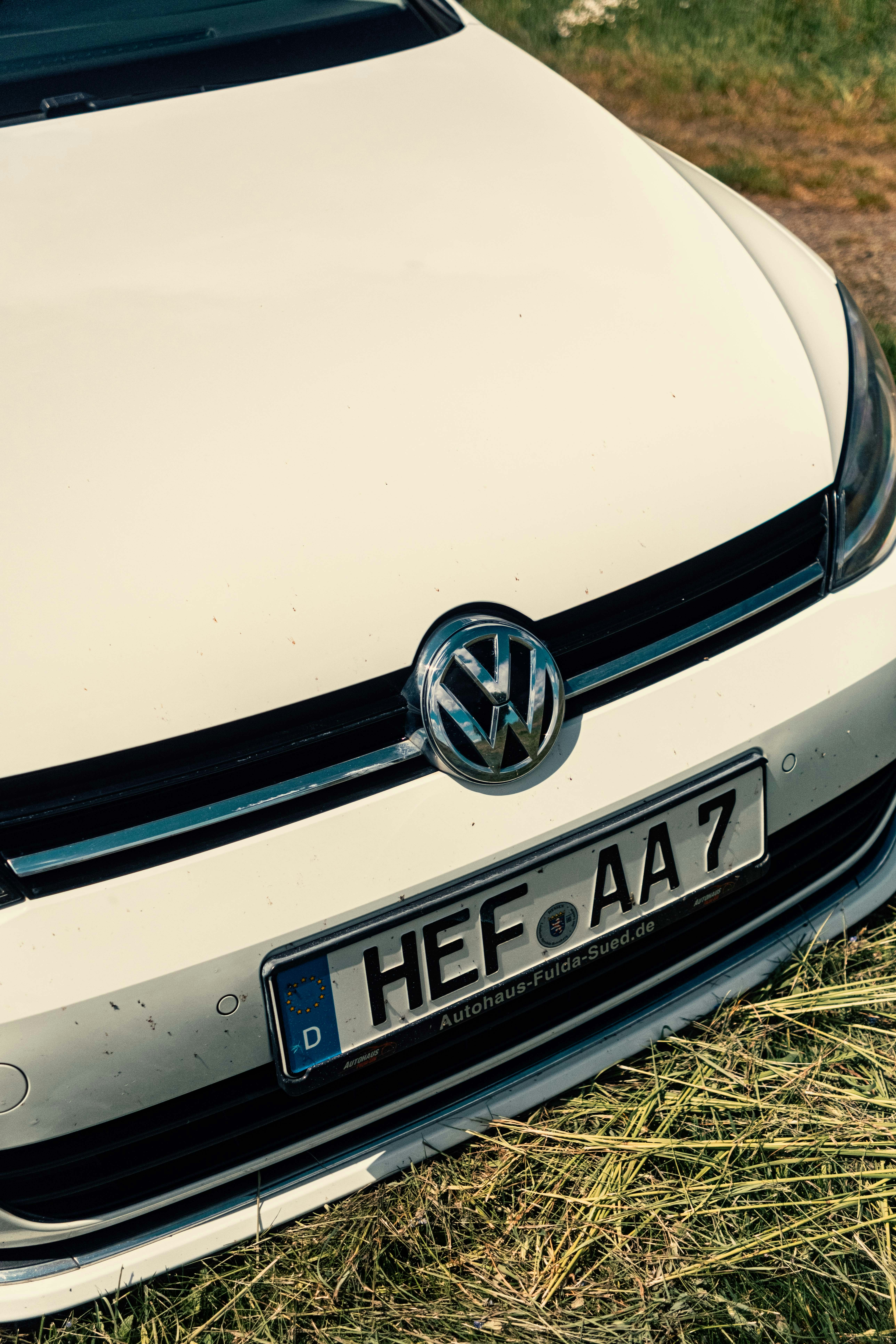 Chrome Emblem and License: A Volkswagen Crest Framed by the Front Grille