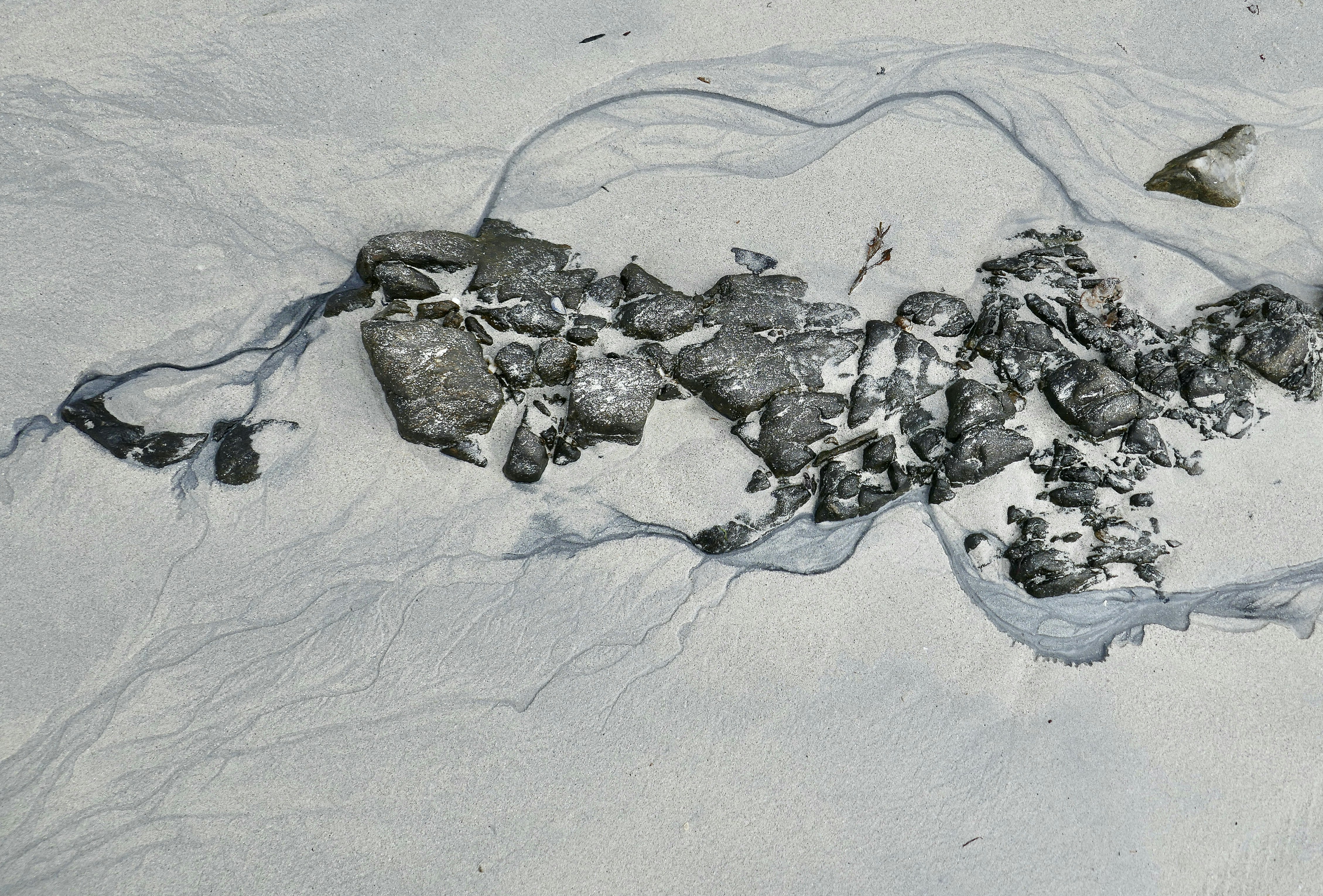 Snow-rafted Line: A Shard of Rock Amid Frosty Veils