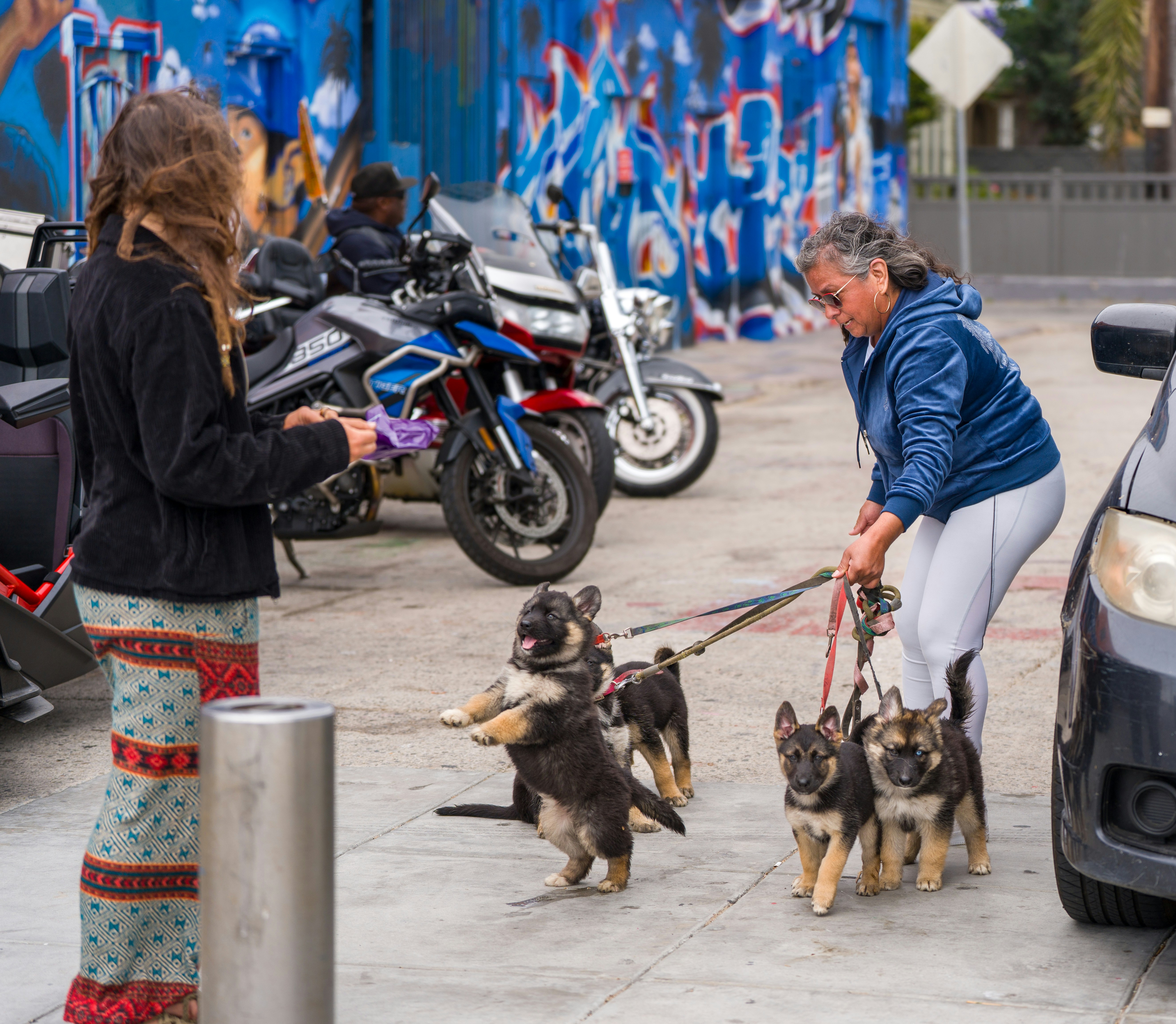 Leash Day at the Dockside: A Caregiver and Her Trio