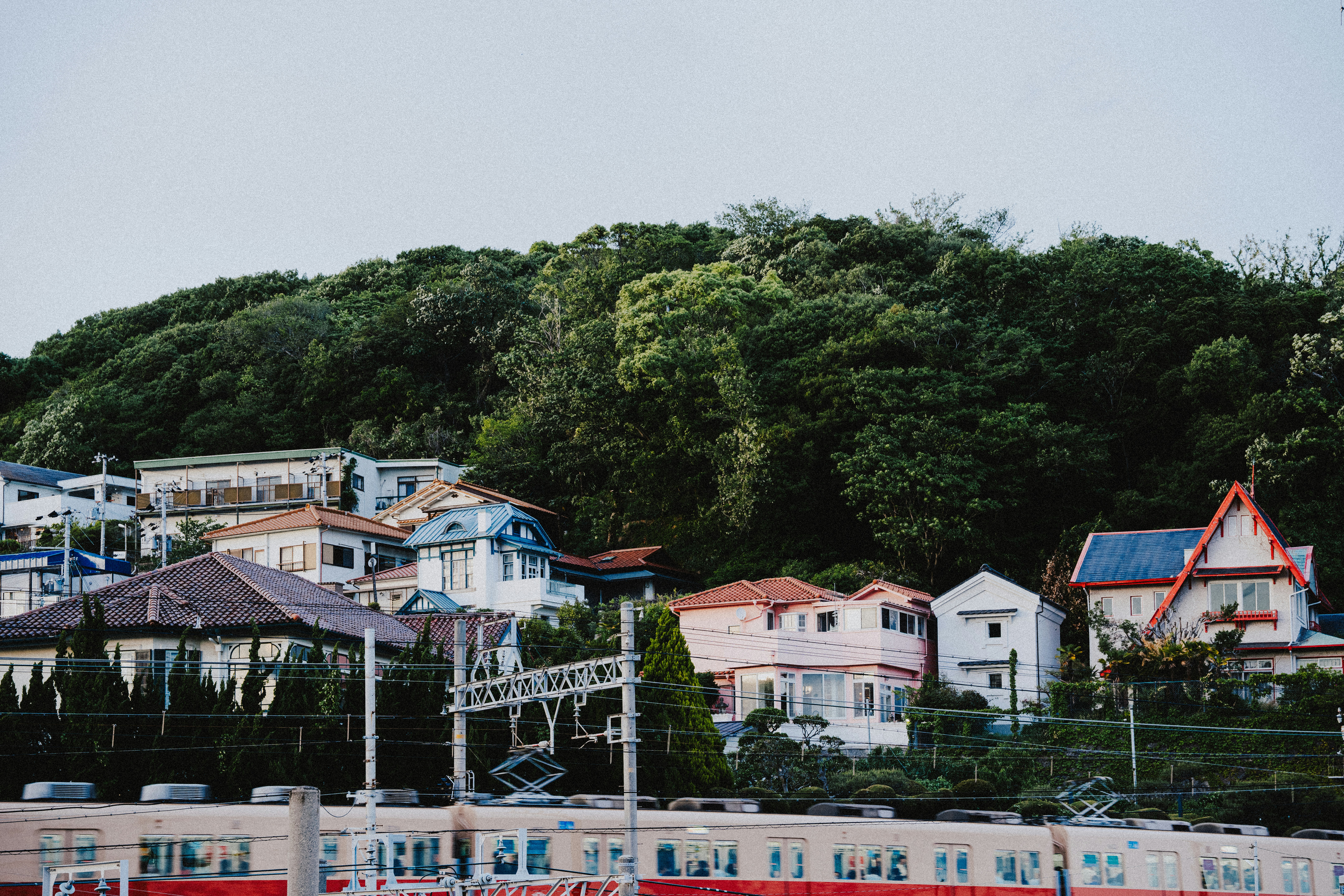 Coastal town skyline tucked behind a forested hillside