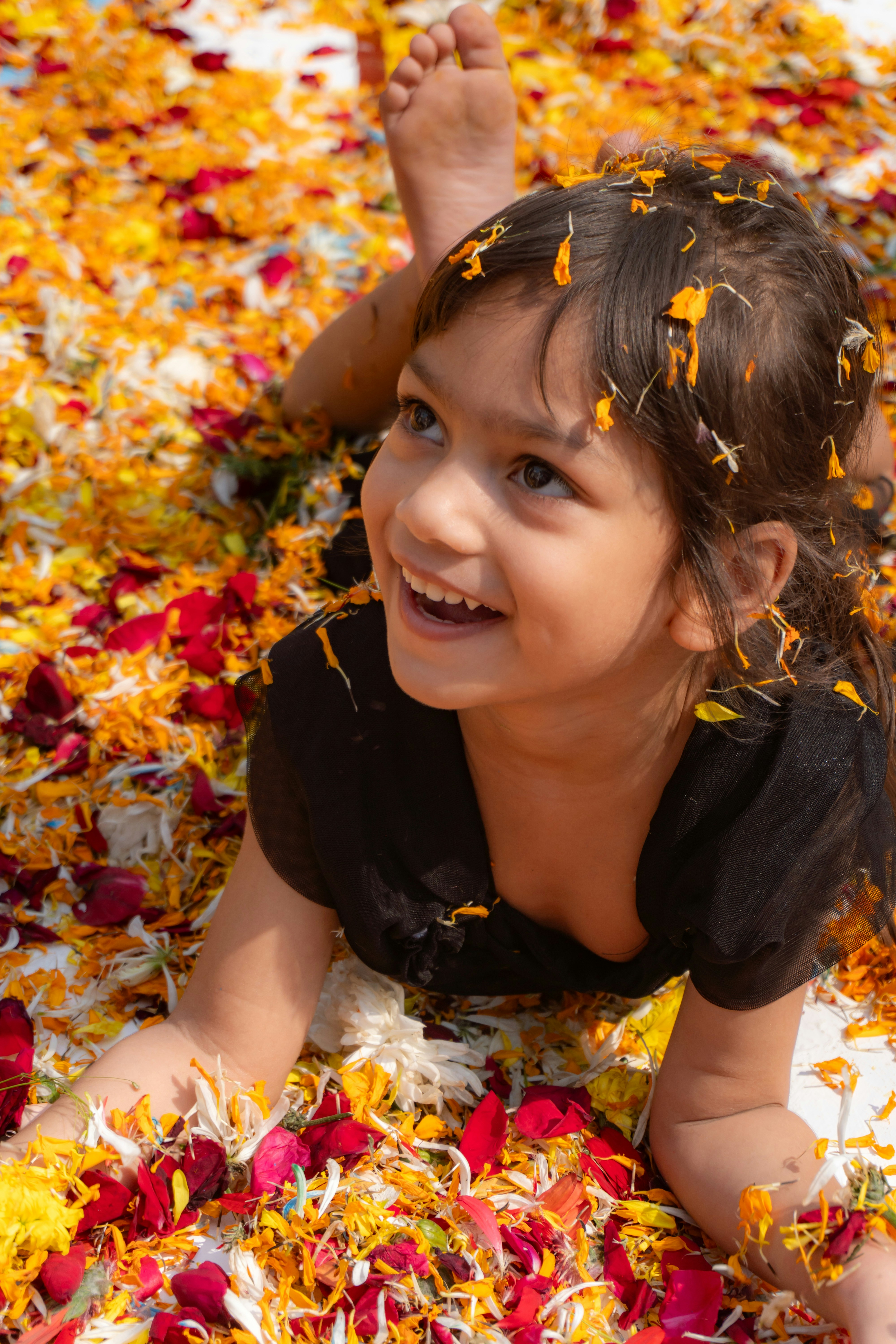 Joy in Petals: A Curious Grin Beneath Autumn Confetti