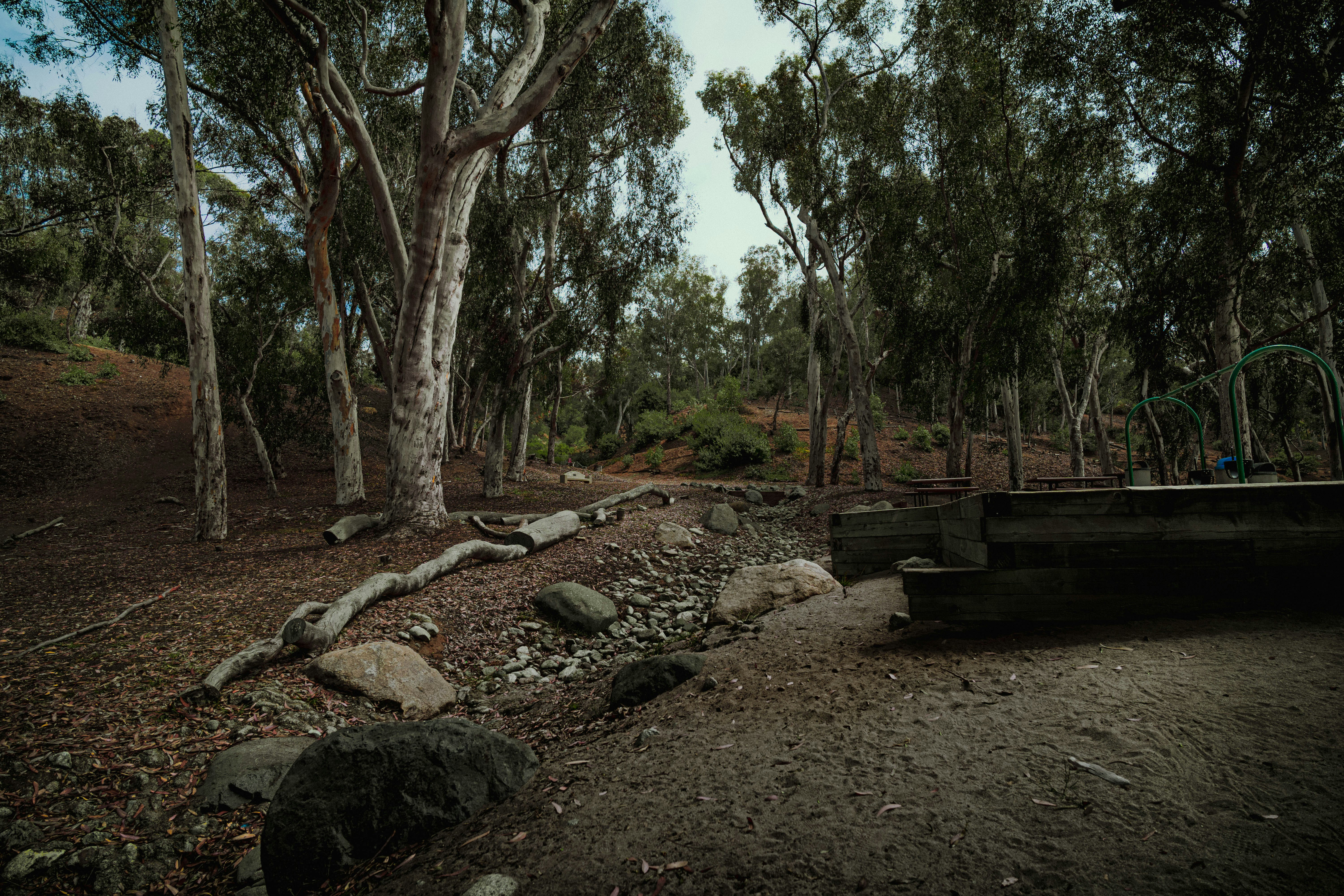 Sunken Playground Between Whispering Trees