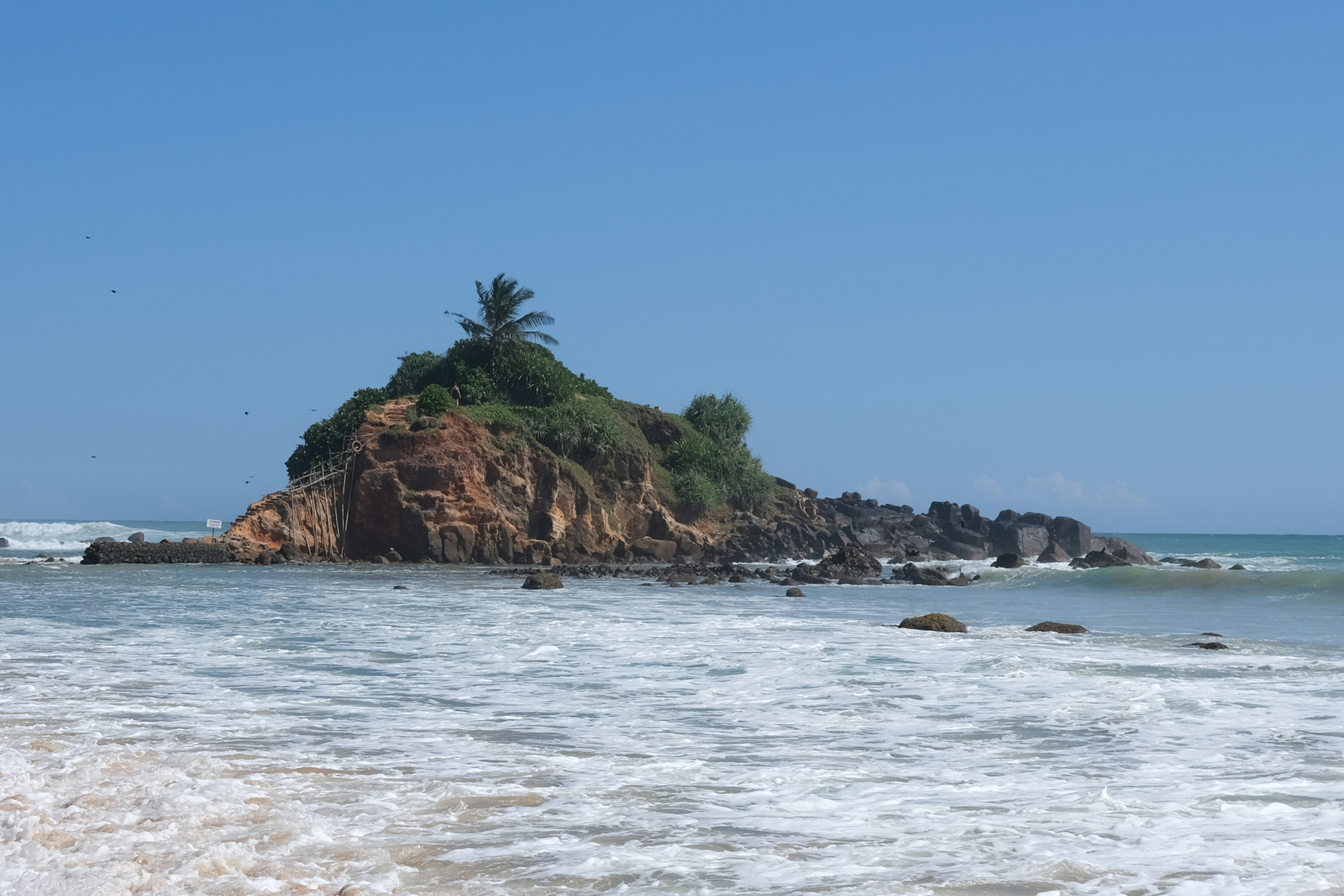 Palm-Clad Rock Island Rising from Calm Coastal Waters
