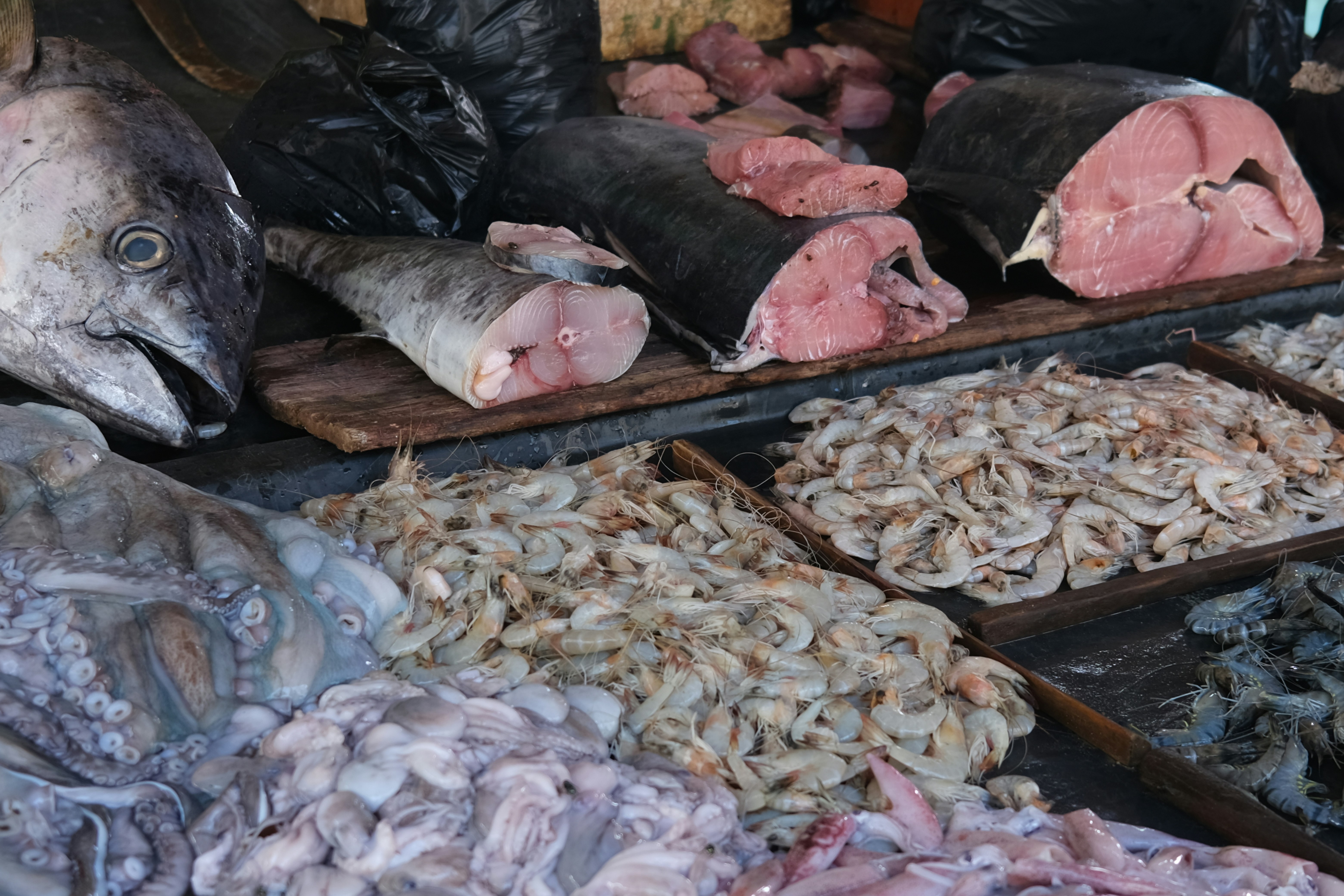 Slices of Market Life: Assorted Seafood on Display