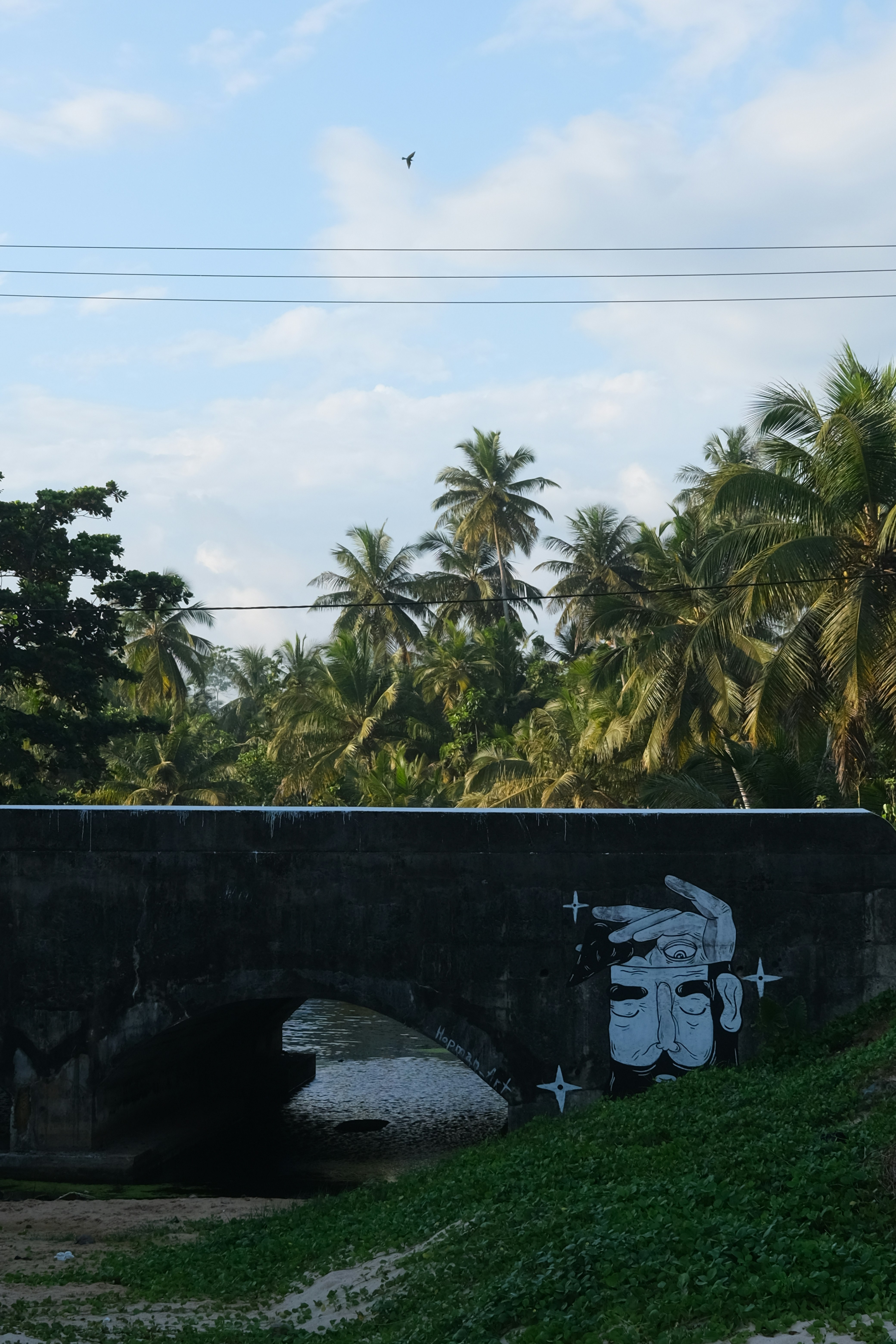 Graffiti Bridge Over a Quiet Channel Framed by Palm Dunes